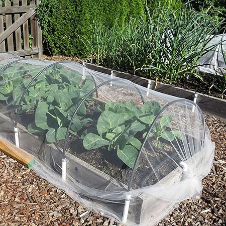 Aoipend Fine Mesh Garden Netting for Protection, 10'x50' Vegetable Crop ...