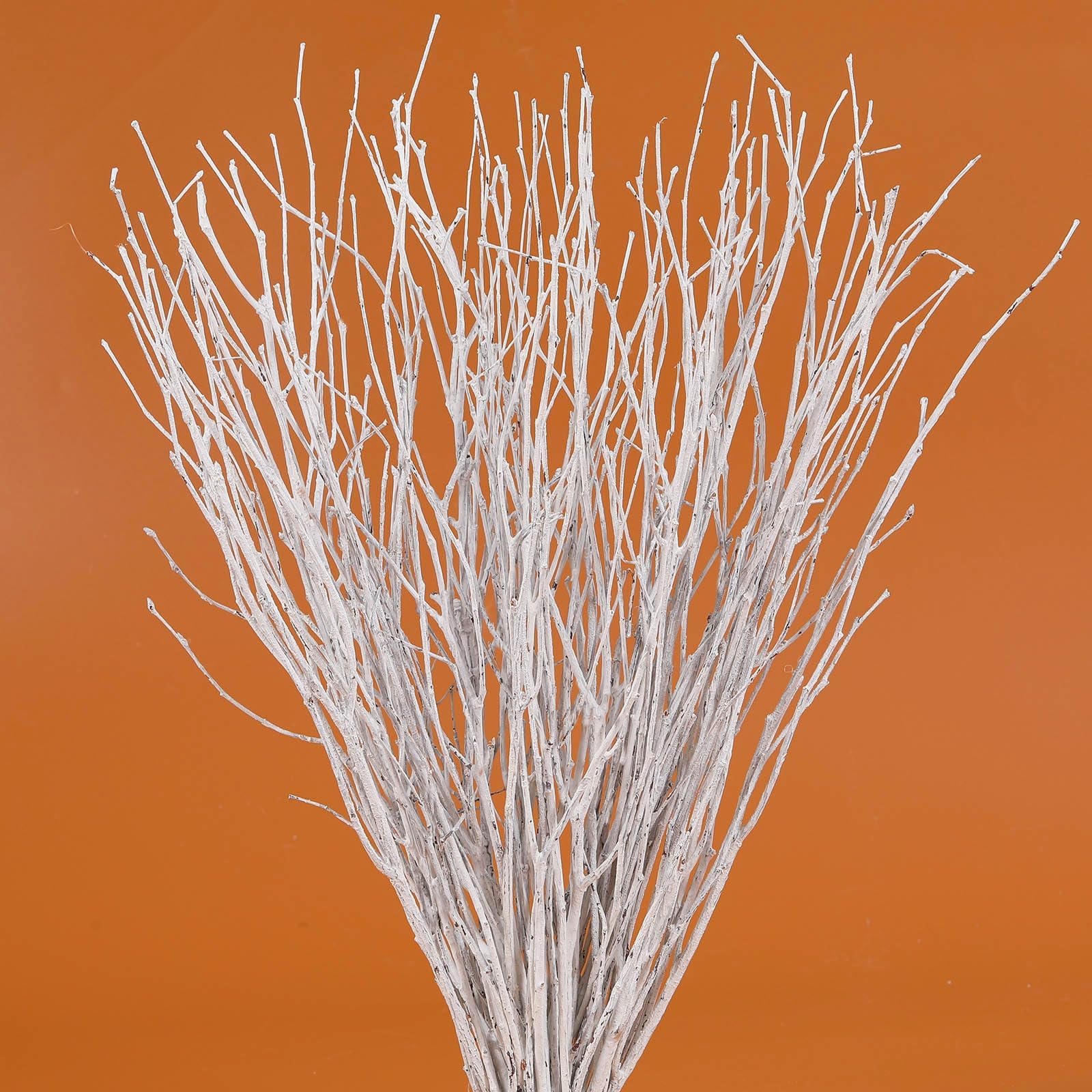 Amazon.com: 40Pcs Real Dried Birch Twigs - 17" Natural Decorative Birch ...