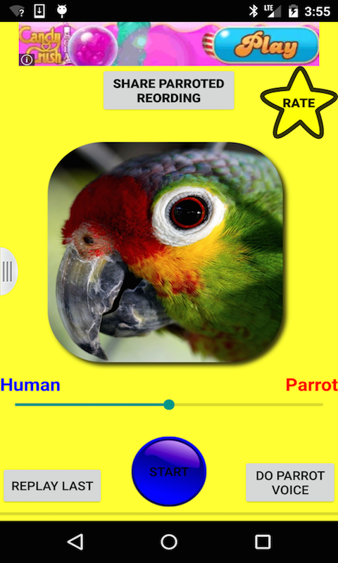 Talking Parrot Voice Changer - Repeating Parrot - App on Amazon Appstore