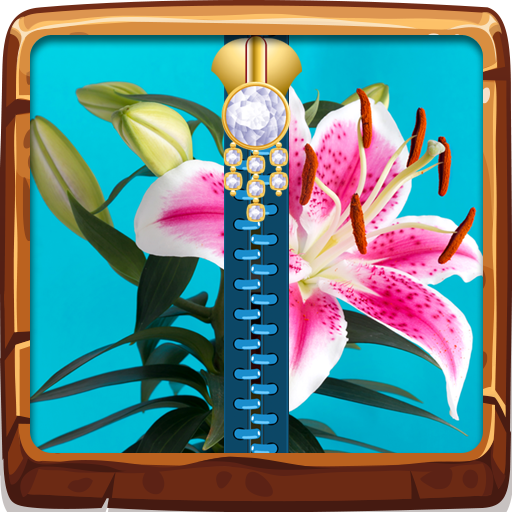 Lilly Zipper Lock Screen - App on Amazon Appstore