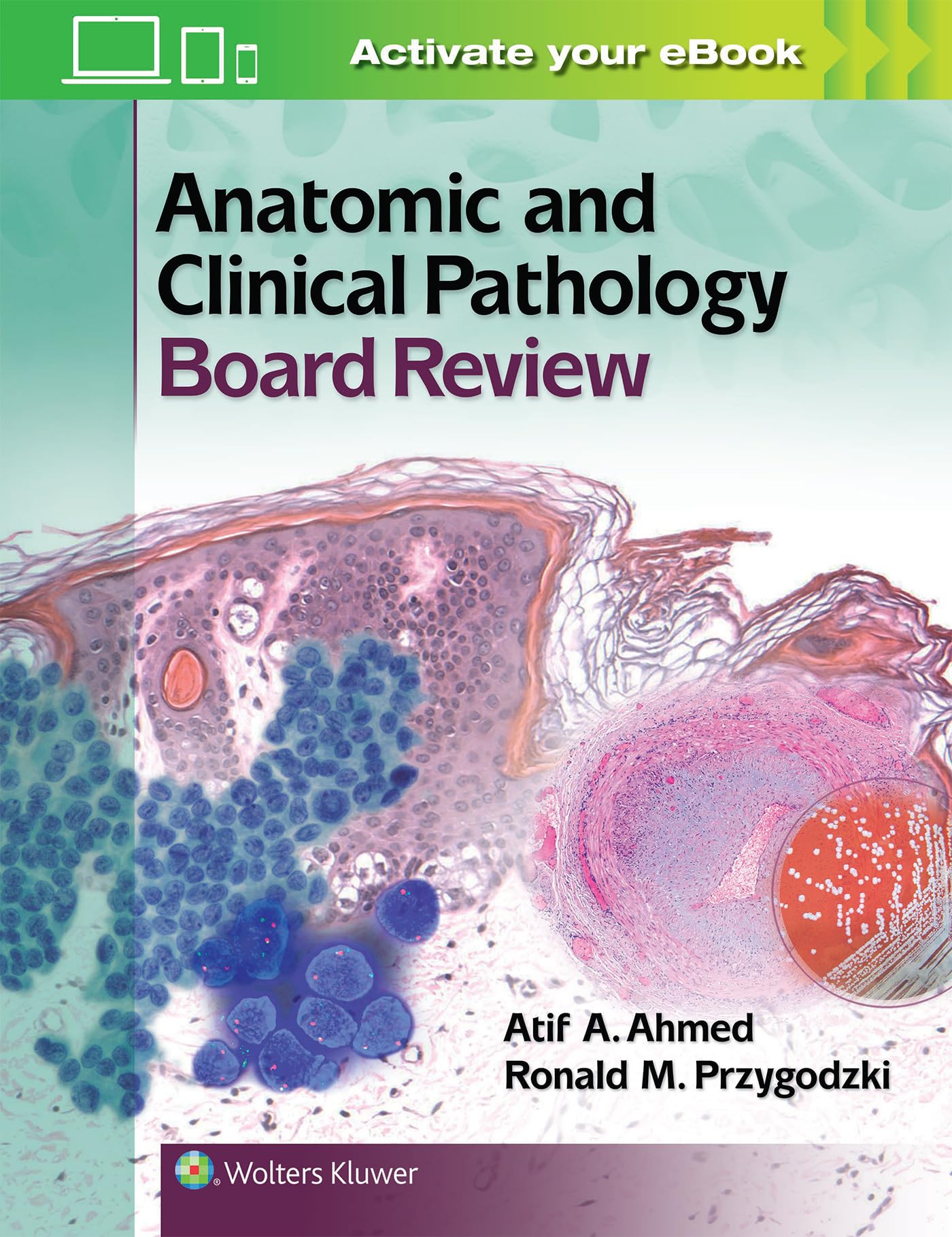 Anatomic and Clinical Pathology Board Review: 9781451194432: Medicine ...
