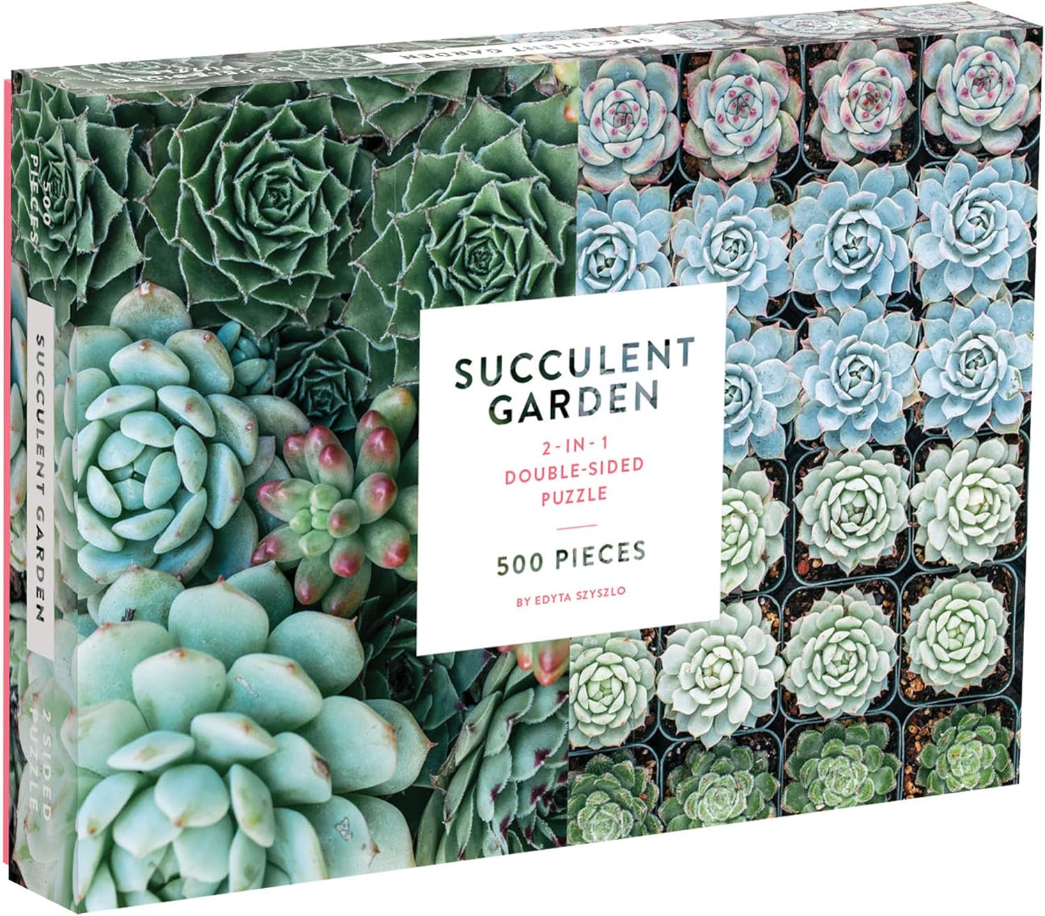 Amazon.com: Galison Succulent Garden 500 Piece Double Sided Jigsaw ...