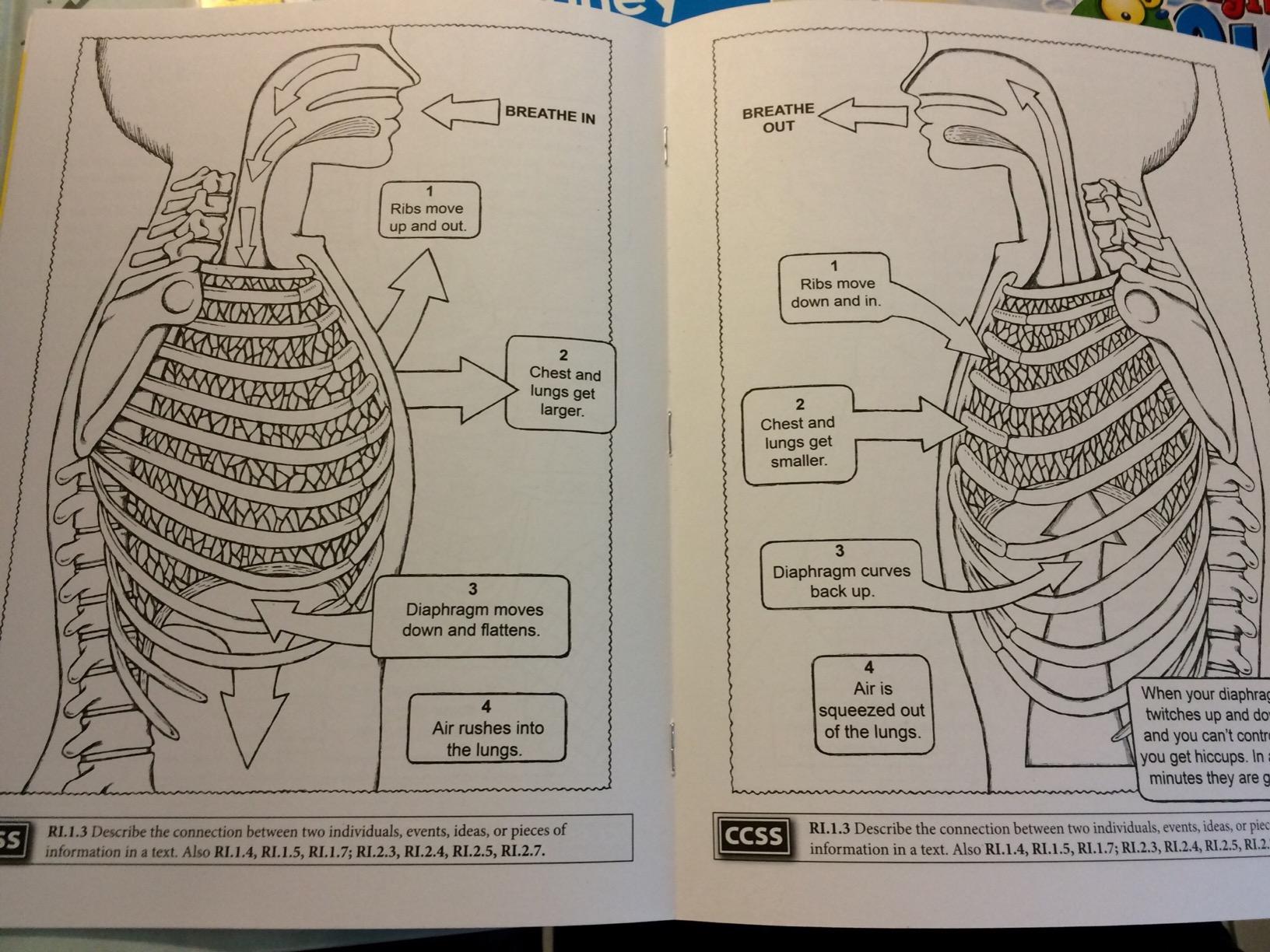 BOOST My First Human Body Coloring Book (Dover Science For Kids ...