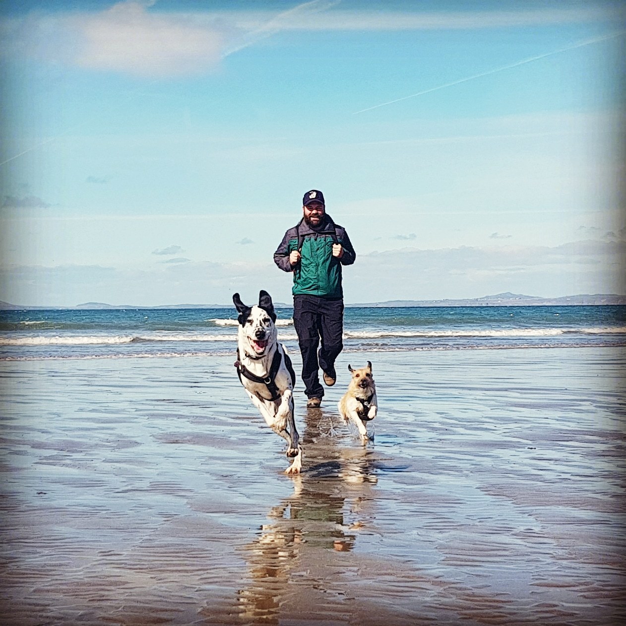 Amazon.co.uk: Steven Goodall: books, biography, latest update