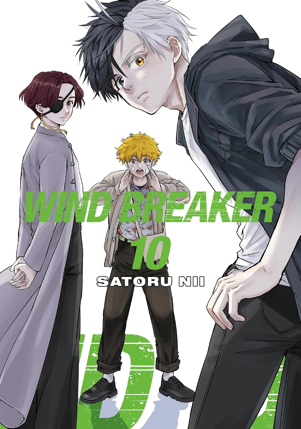 WIND BREAKER 10: Nii, Satoru: 9781646519576: Amazon.com: Books