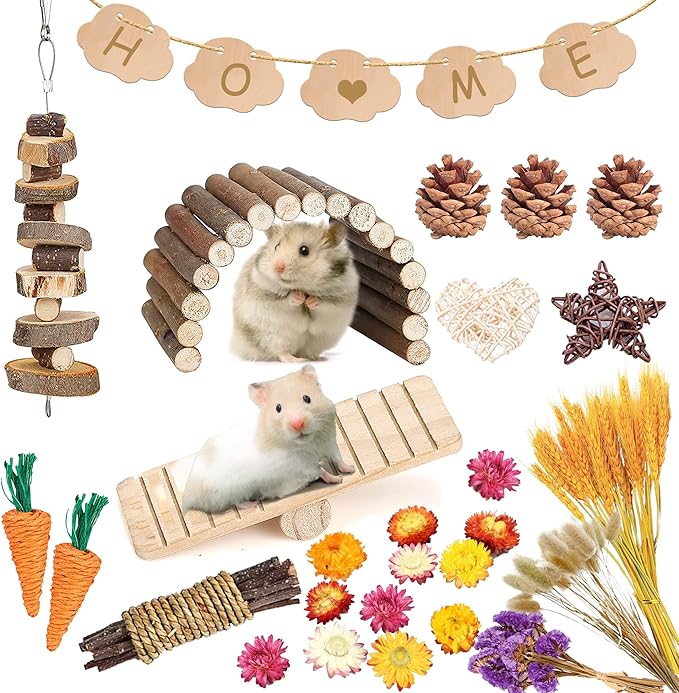 Amazon.com : MOMOONNON Hamster Chew Toys Set Natural Wooden Hamster ...