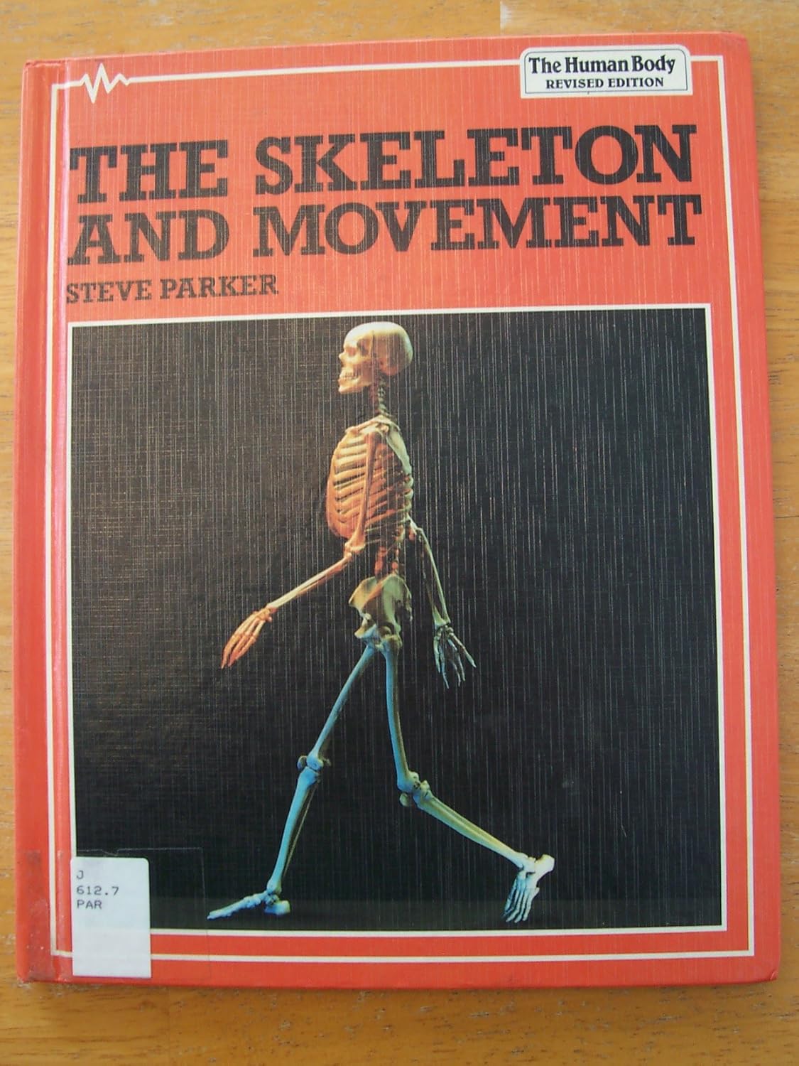 Amazon.com: The Skeletal System (Human Body System): 9780805028379 ...