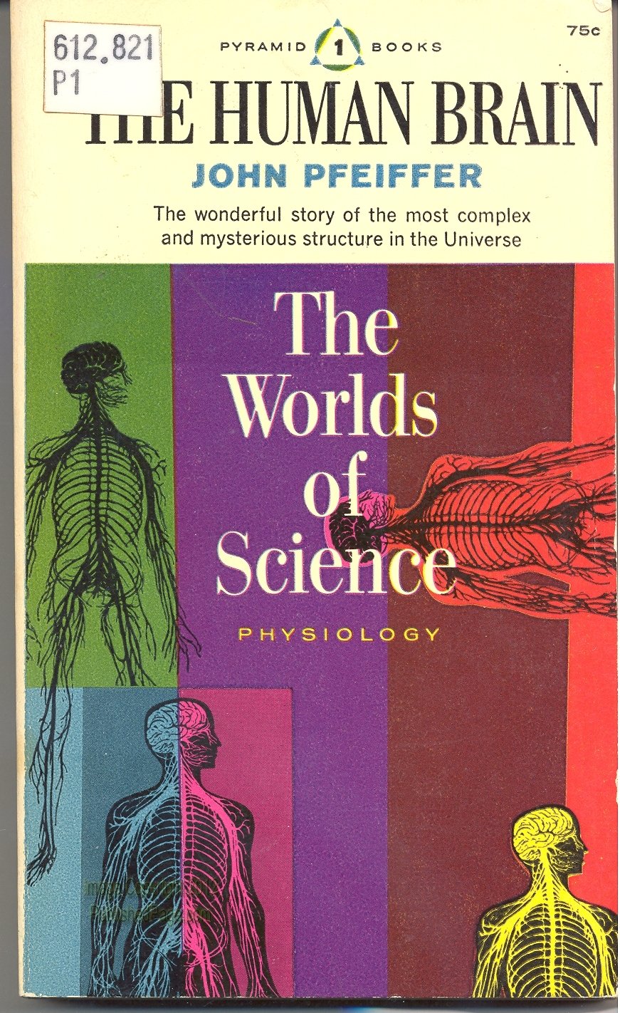 The human brain: Books - Amazon.ca