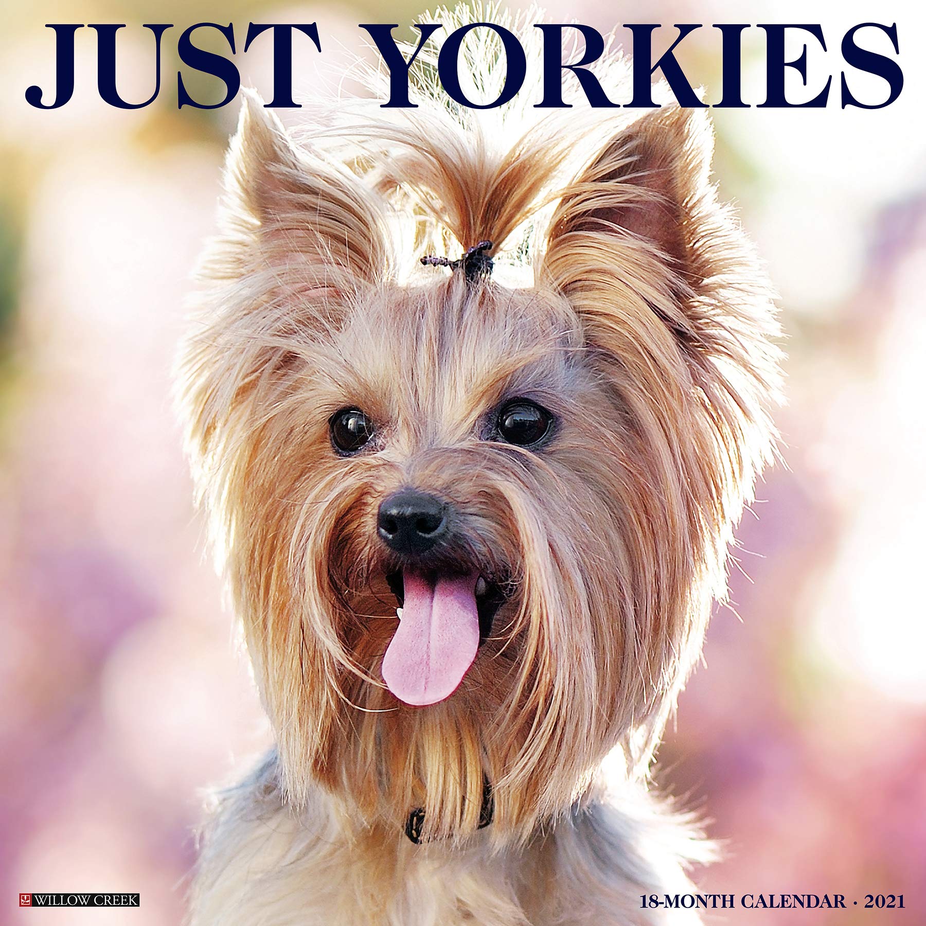 Just Yorkies 2021 Wall Calendar (Dog Breed Calendar): Willow Creek ...