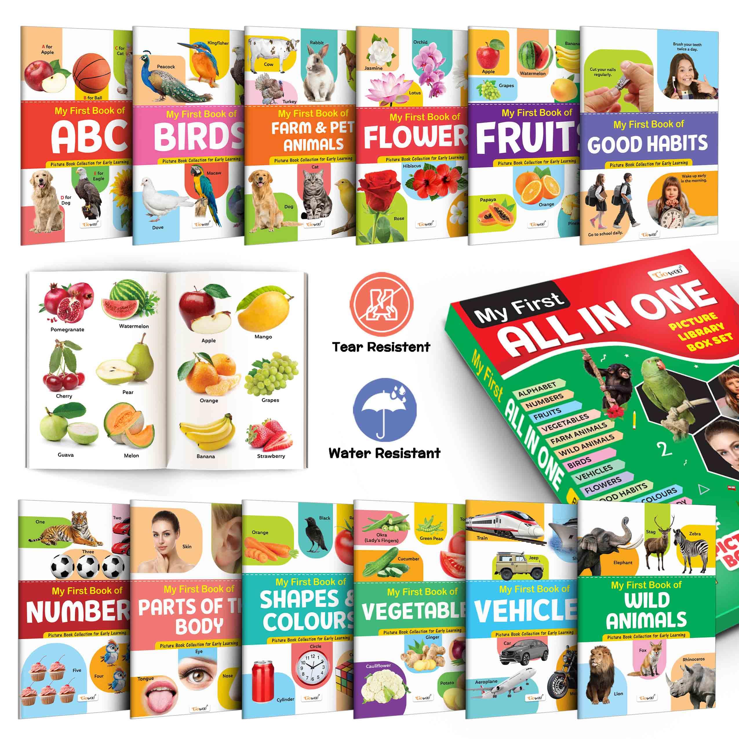 Buy Lkg Class Picture Book Box Set (Green Edition) : Books For Children ...