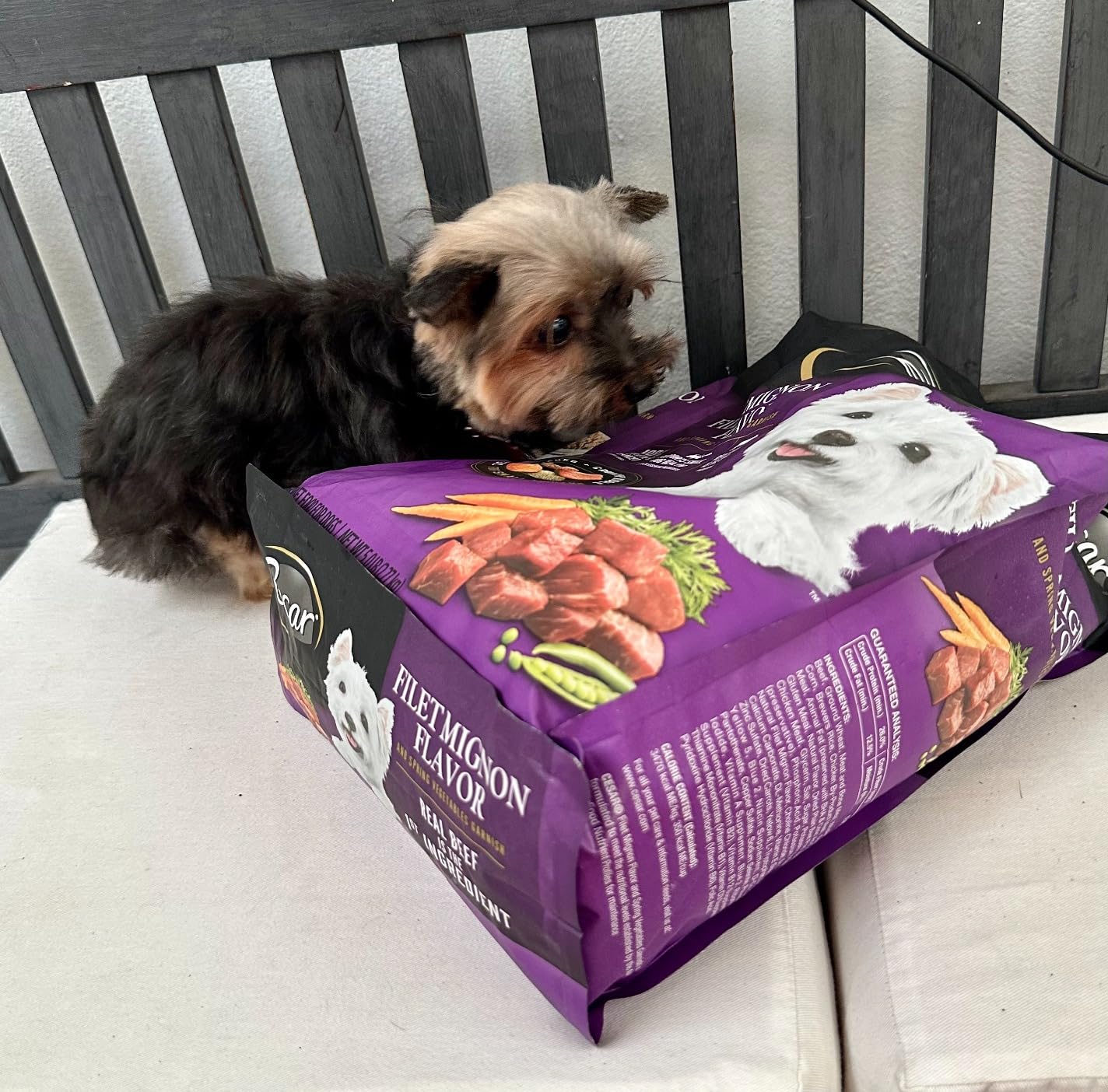 $3/mo - Finance CESAR Small Breed Dry Dog Food Filet Mignon Flavor with ...