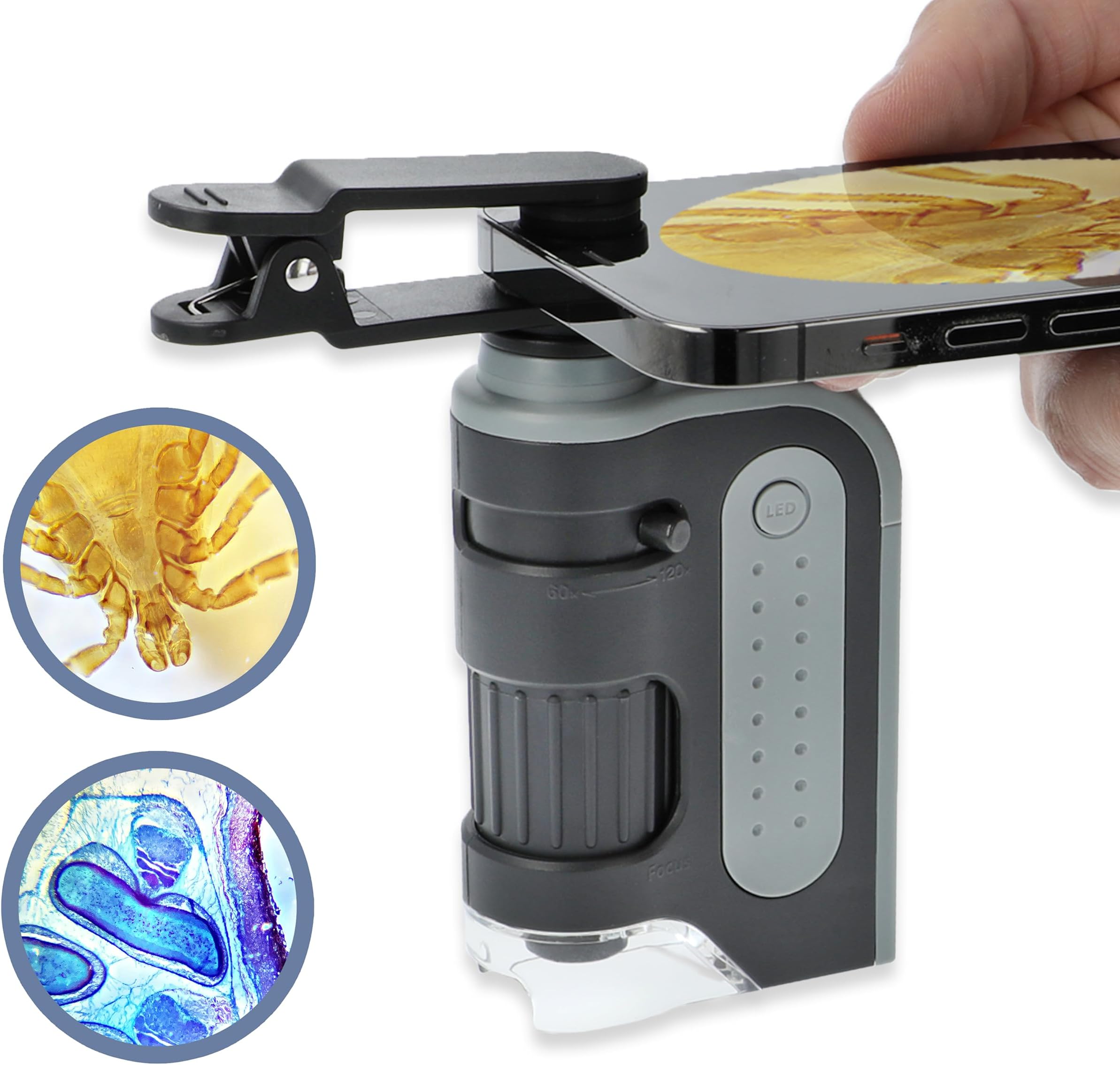 Amazon.com : Axlksia Mini Microscope for Kids and Adults, Kids ...