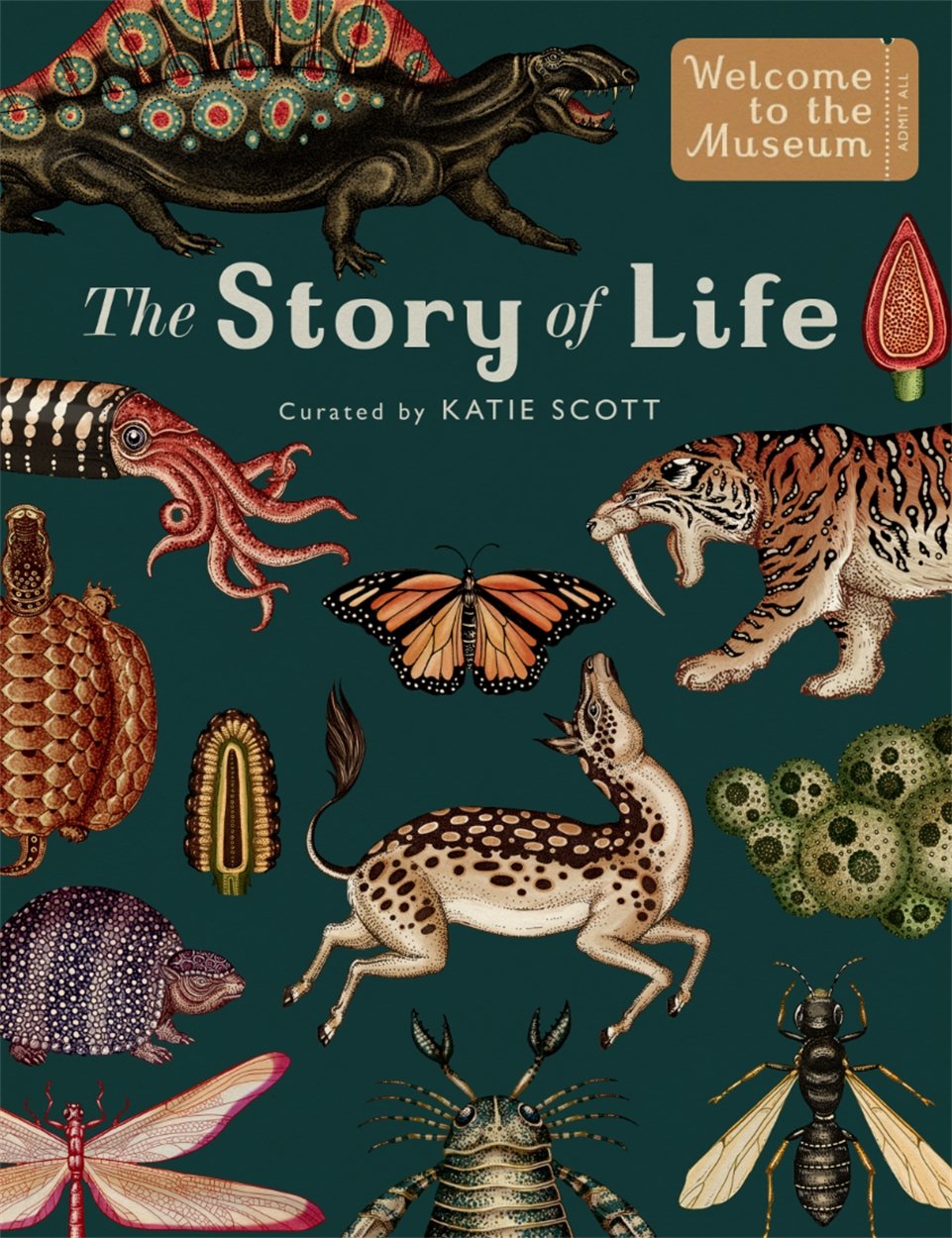The Story Of Life Evolution: Katie Scott, Fiona Munro, Ruth Symons ...