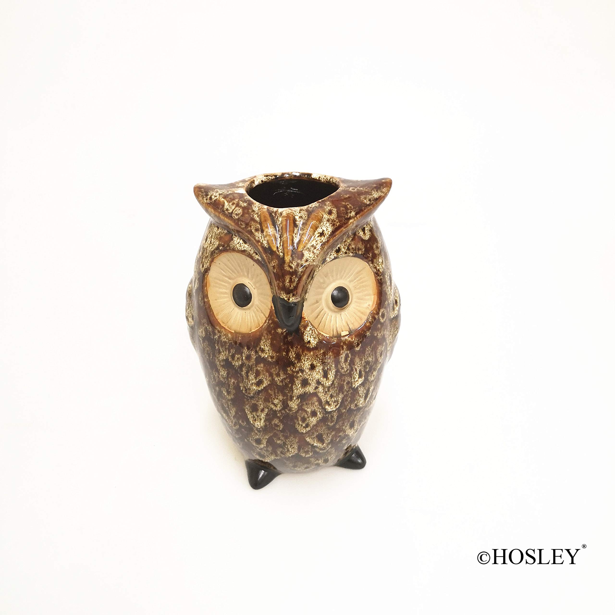 Snapklik.com : Ceramic Farmhouse Owl Vase, Ideal Gift For Weddings ...
