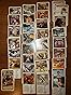 Top Trumps Greek Myths Card Game - 30 Fantastic Tales : Amazon.co.uk ...