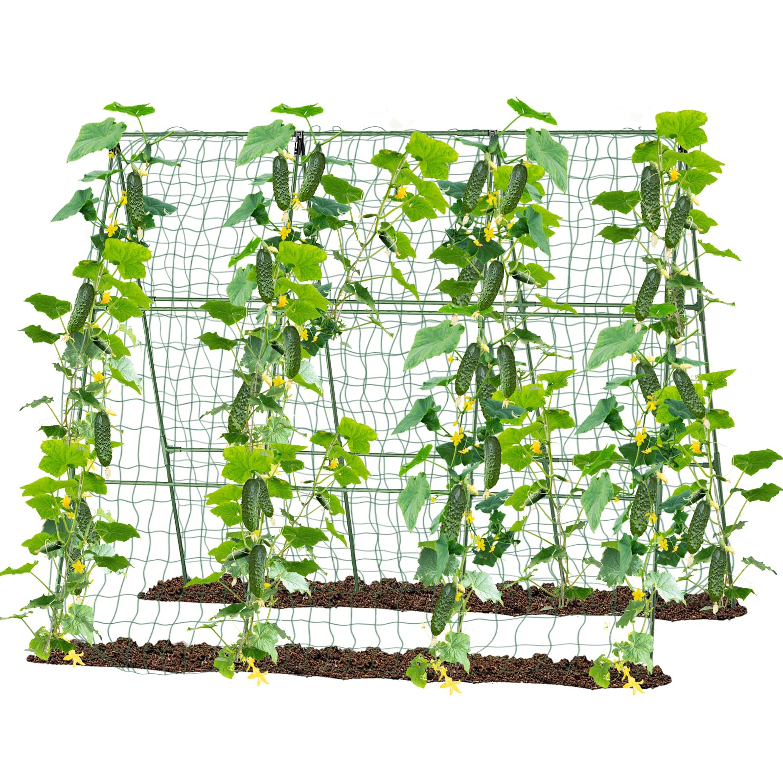 Amazon.com : 45x53 Inch Cucumber Trellis for Raised Bed, Foldable A ...