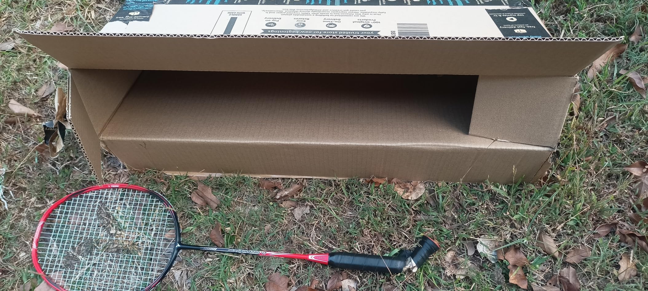 Buy YOUNG (Malaysia) AERODYNA PRO-V7 Graphite Lightweight Professional ...