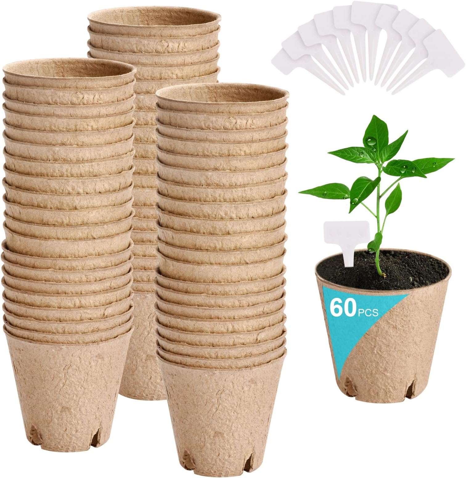 Amazon.com: Tenceur 150 Packs Peat Pots for Seedling 3.15 Inch Plant ...
