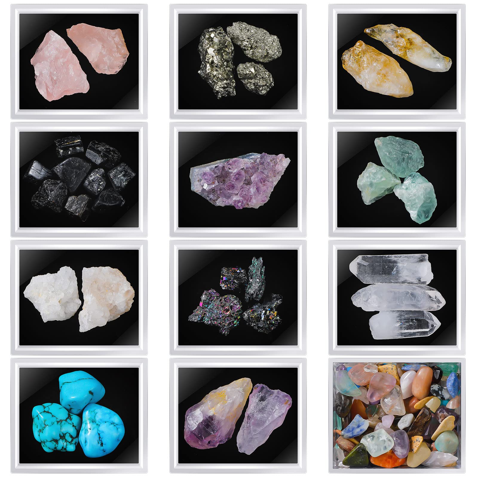 Buy Janmercy 12 Rock Collection Box for Kids Educational Rock Mineral ...