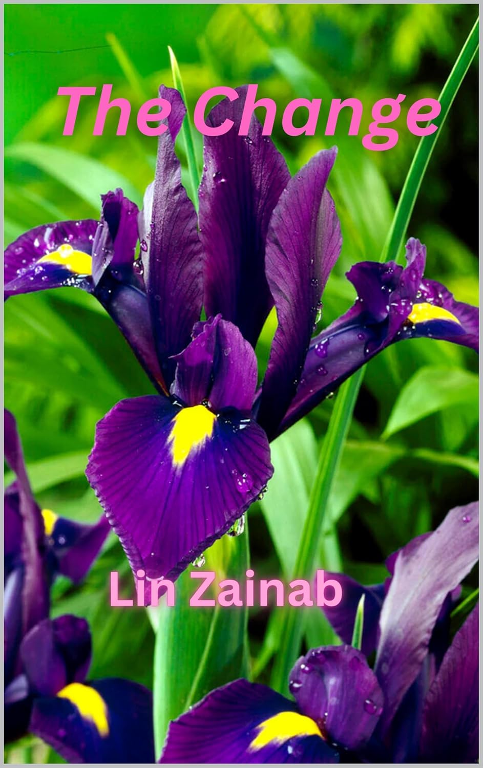 The change eBook : zainab, lin: Amazon.in: Kindle Store