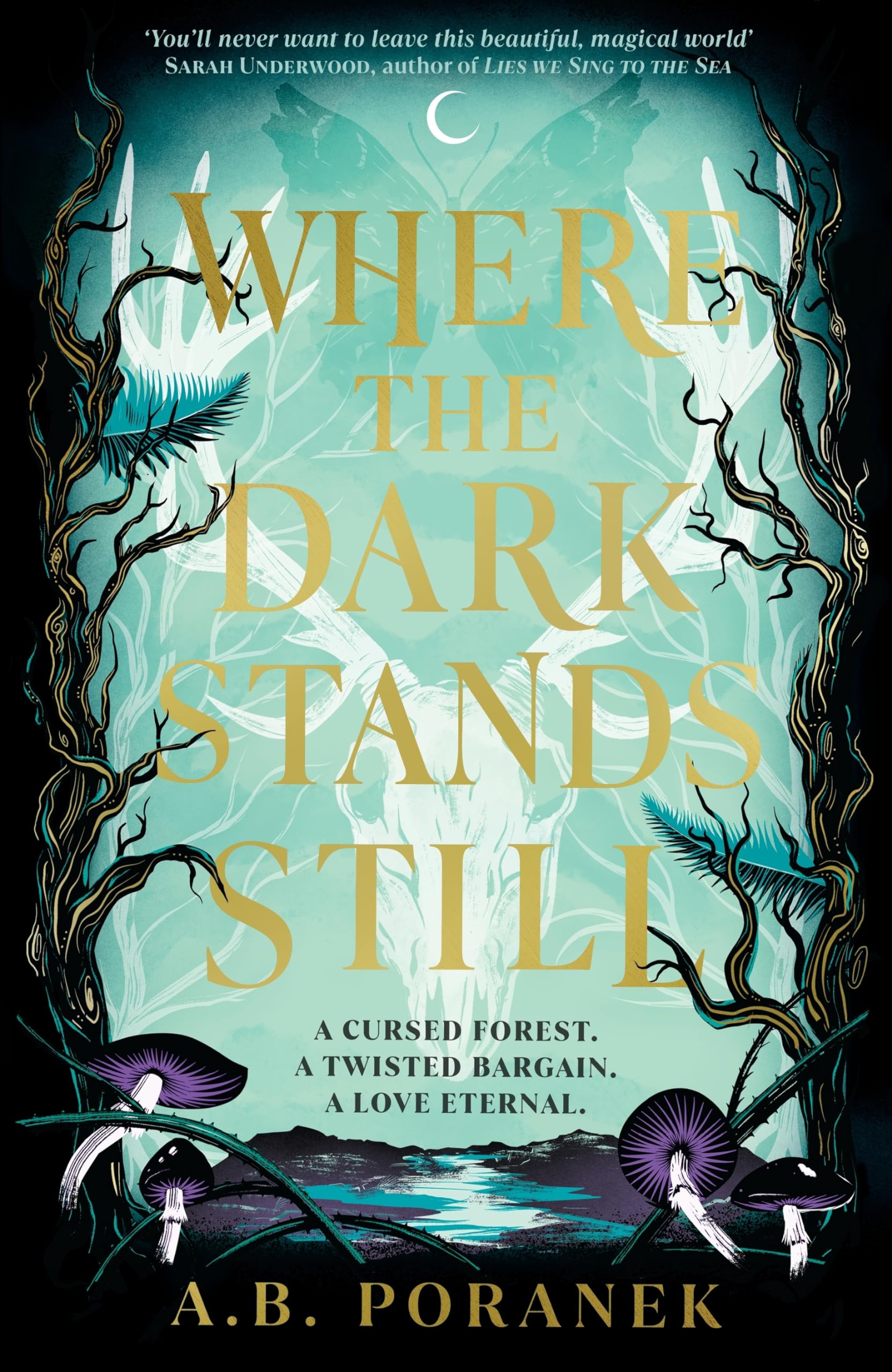 Where the Dark Stands Still: A sweeping, gothic YA fairytale romance ...
