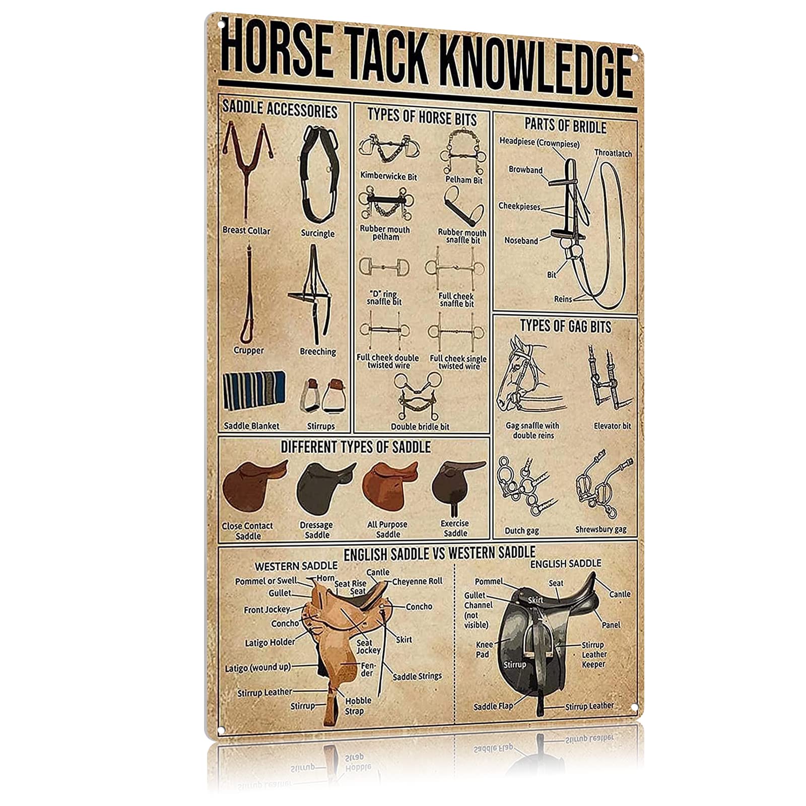 Amazon.com: Horse Tack Knowledge Tin Metal Sign Wall Decor Fun ...