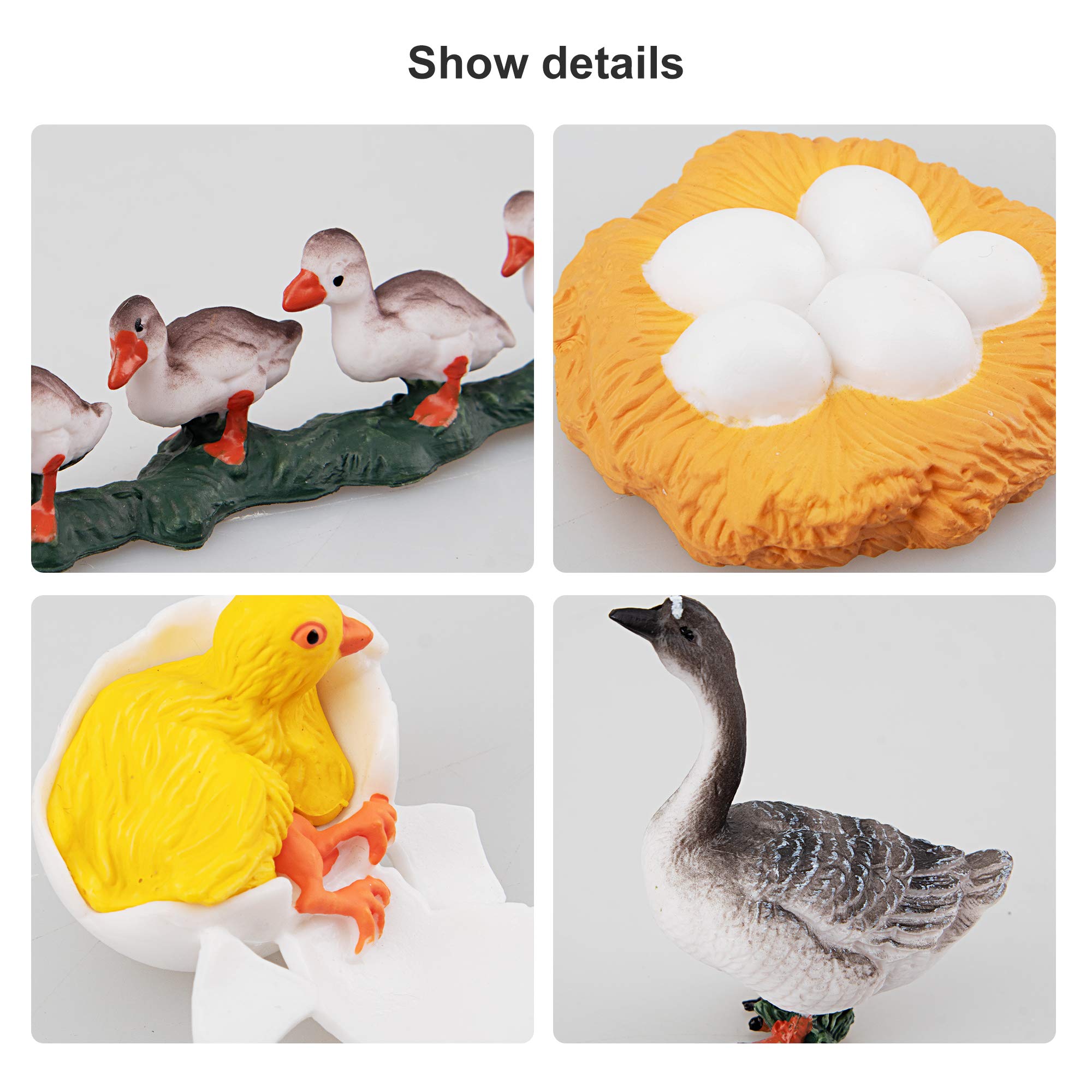 Buy TOYMANY 16PCS Life Cycle of Goose White Swan Chicken Duck Farm ...