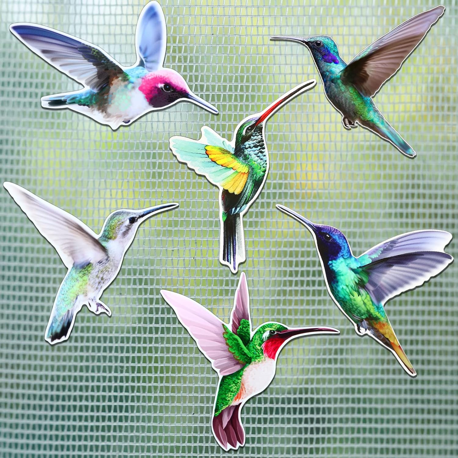 Eaasty 12 Pcs Hummingbird Screen Door Magnets Hummingbird Saver Magnets ...