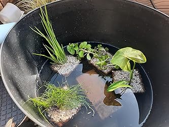Aquatic Compost, Moerings Pond Plant Soil, 10 litres : Amazon.co.uk: Garden