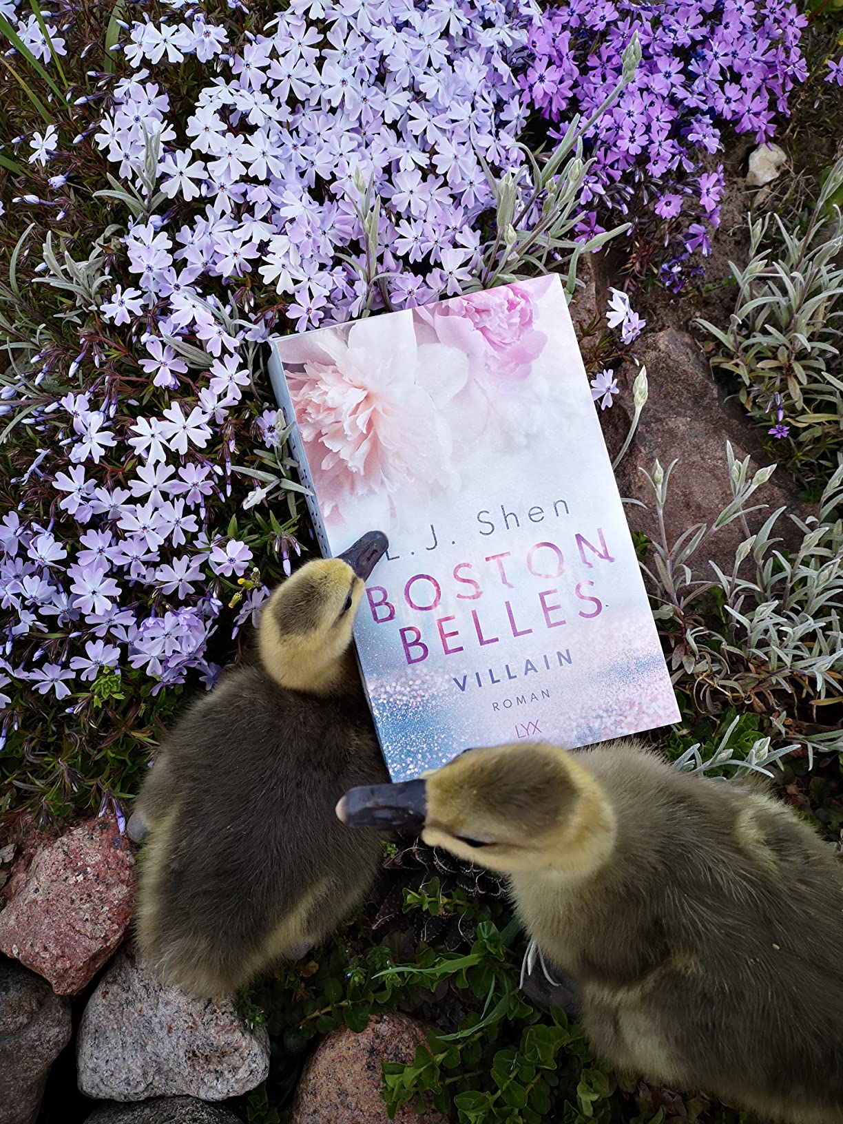 Boston Belles - Villain eBook : Shen, L. J., Morgenrau, Anne: Amazon.de ...