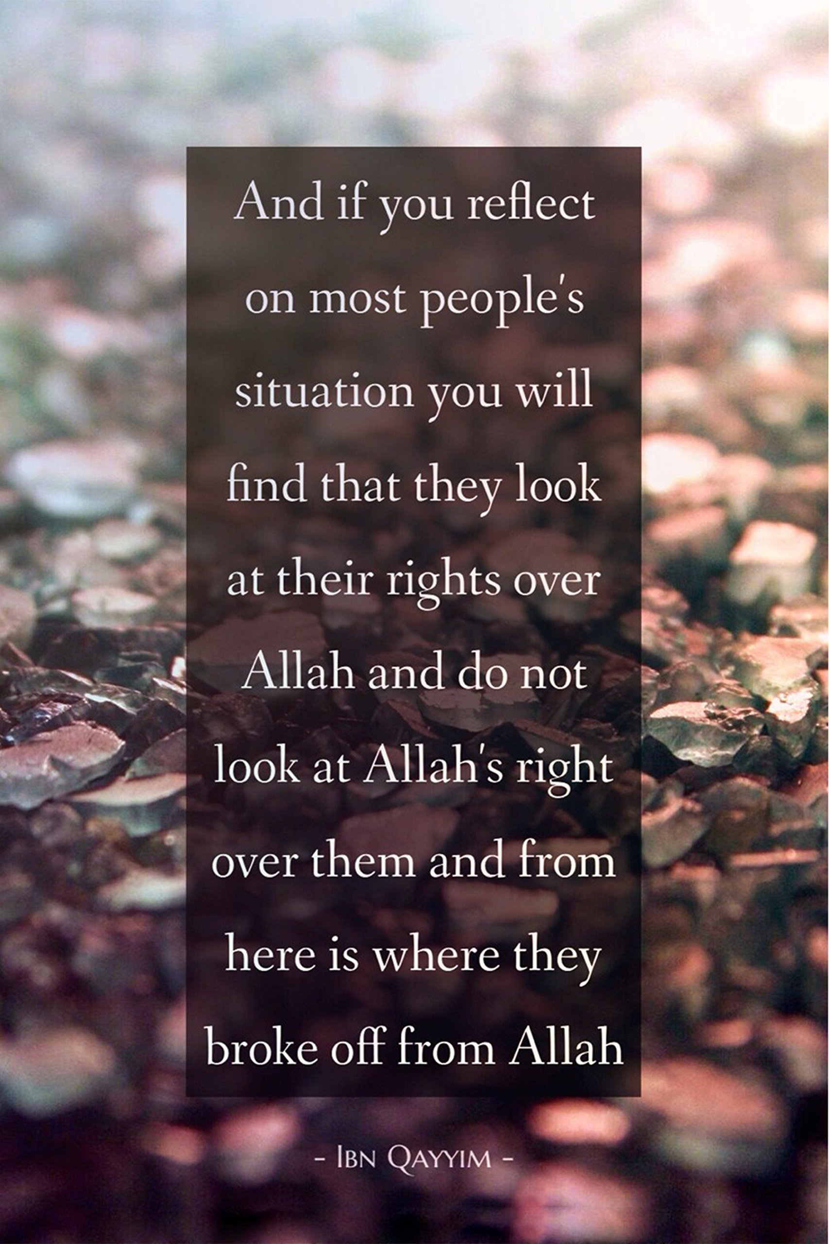 Islamic Reflection Quotes