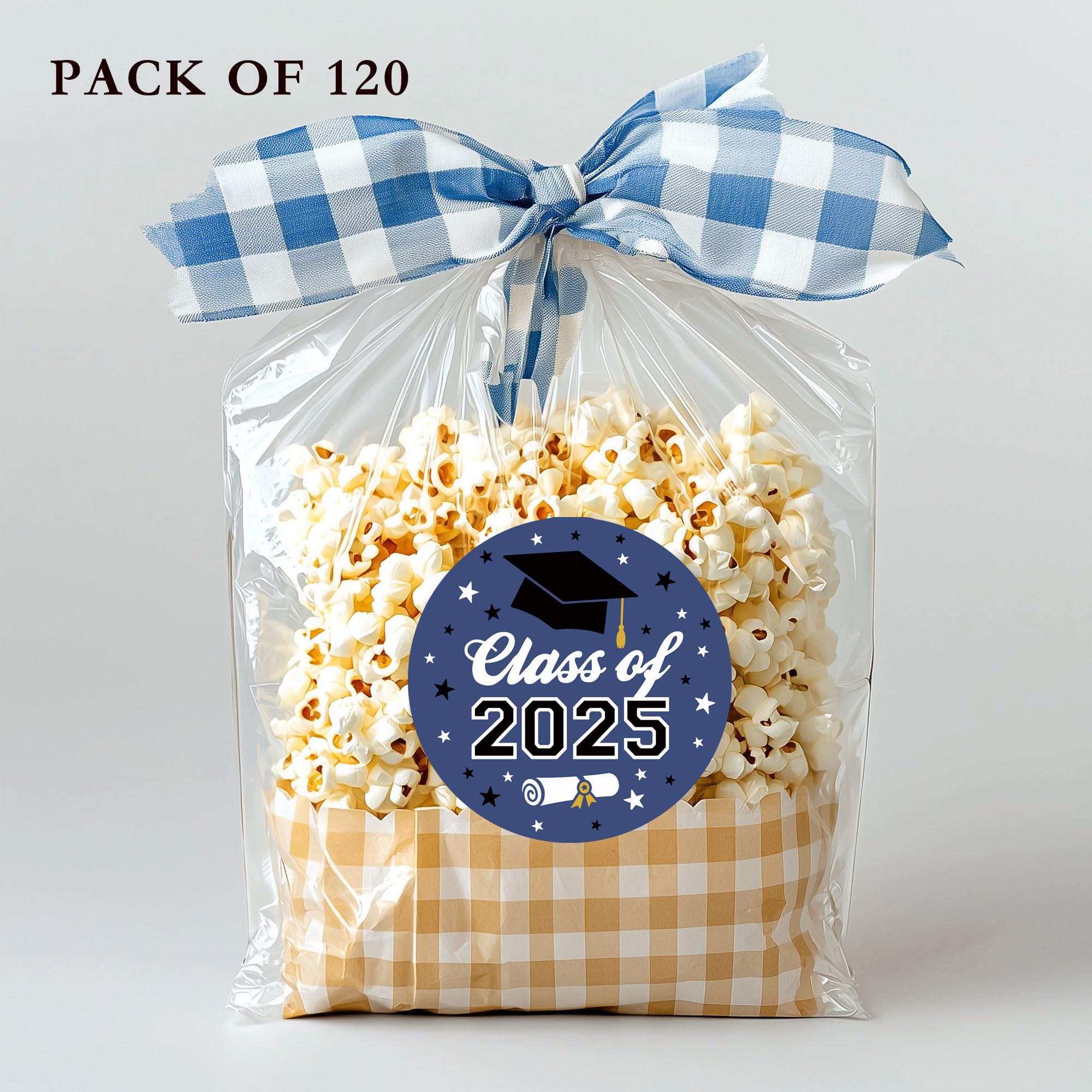 Snapklik.com : 120 Pack 2025 Graduation Stickers Blue Class Of 2025 ...
