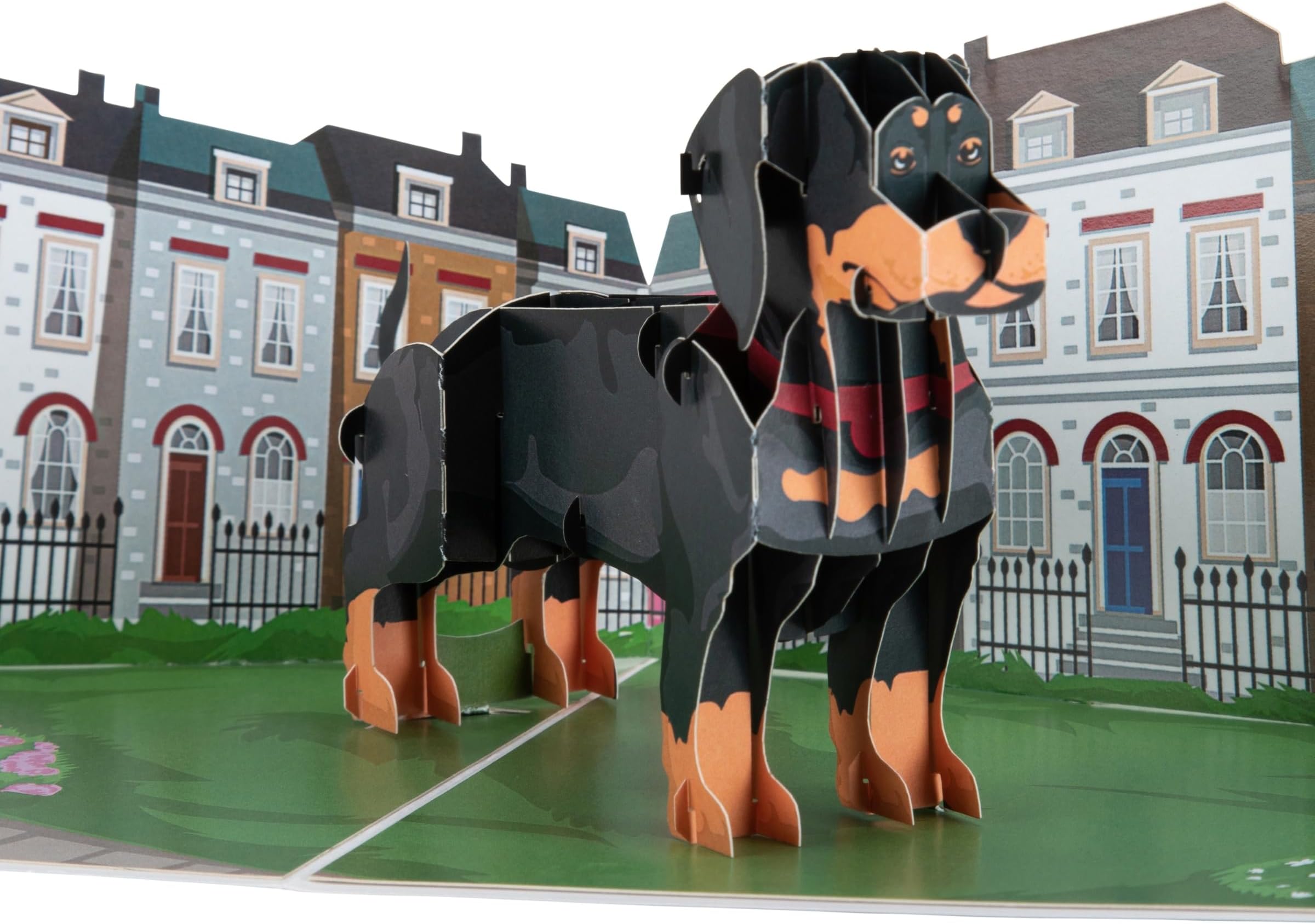 Cardology - Dachshund Pop Up Card | 3D Sausage Dog Birthday Card ...