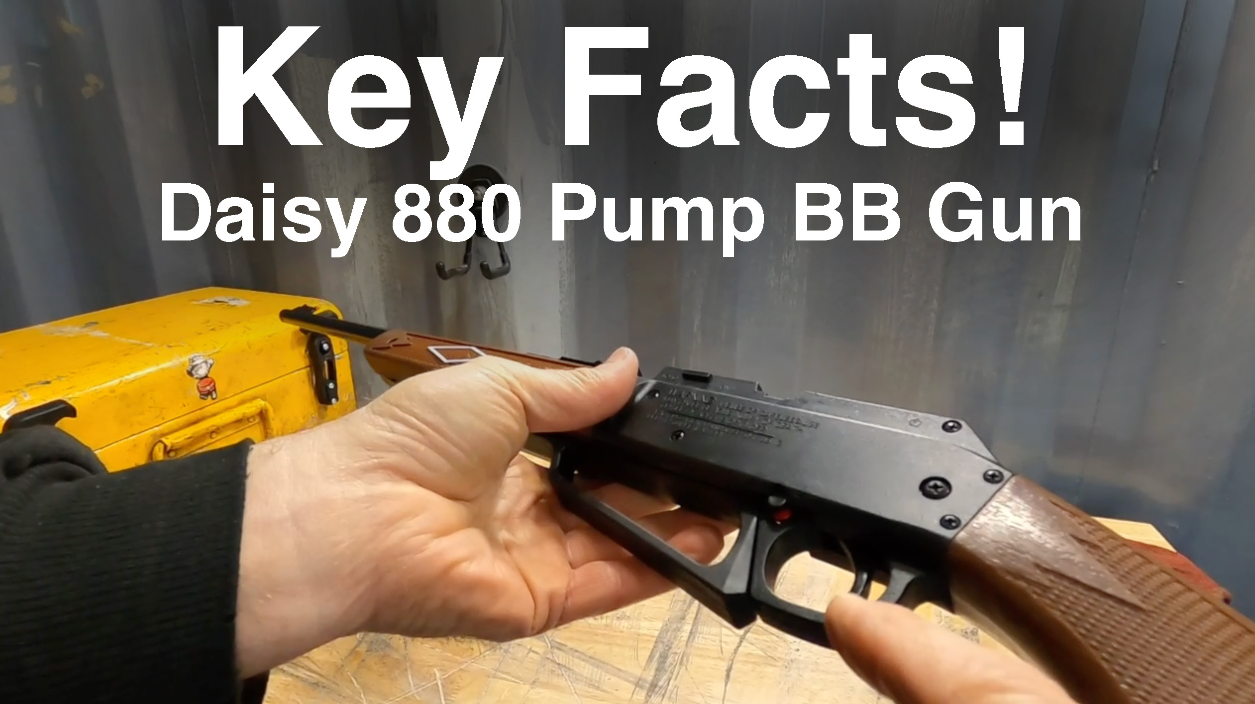 Watch KEY FACTS Daisy 880 Pump Air BB & Pellet Rifle on Amazon Live