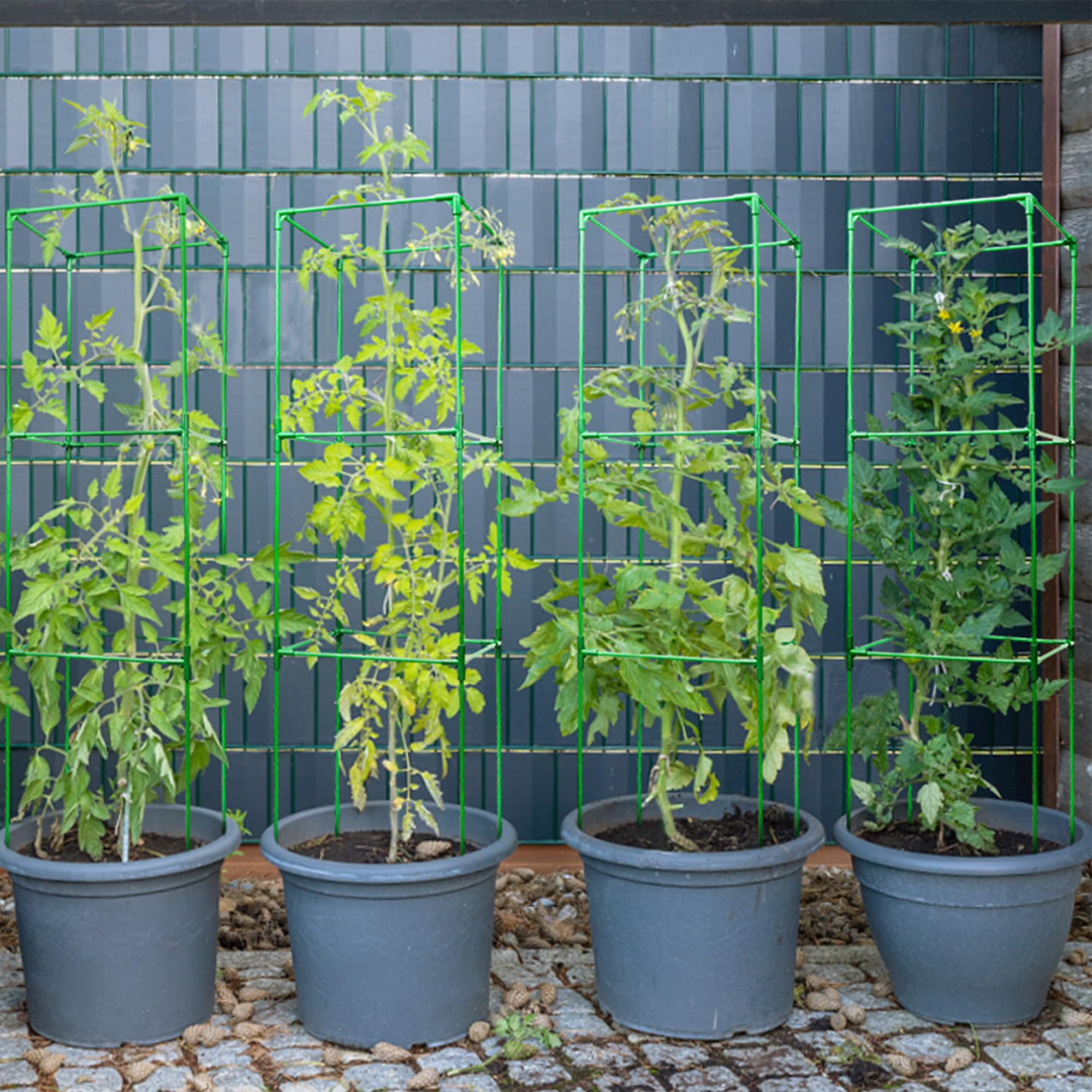 Heavy Duty Tomato Towers
