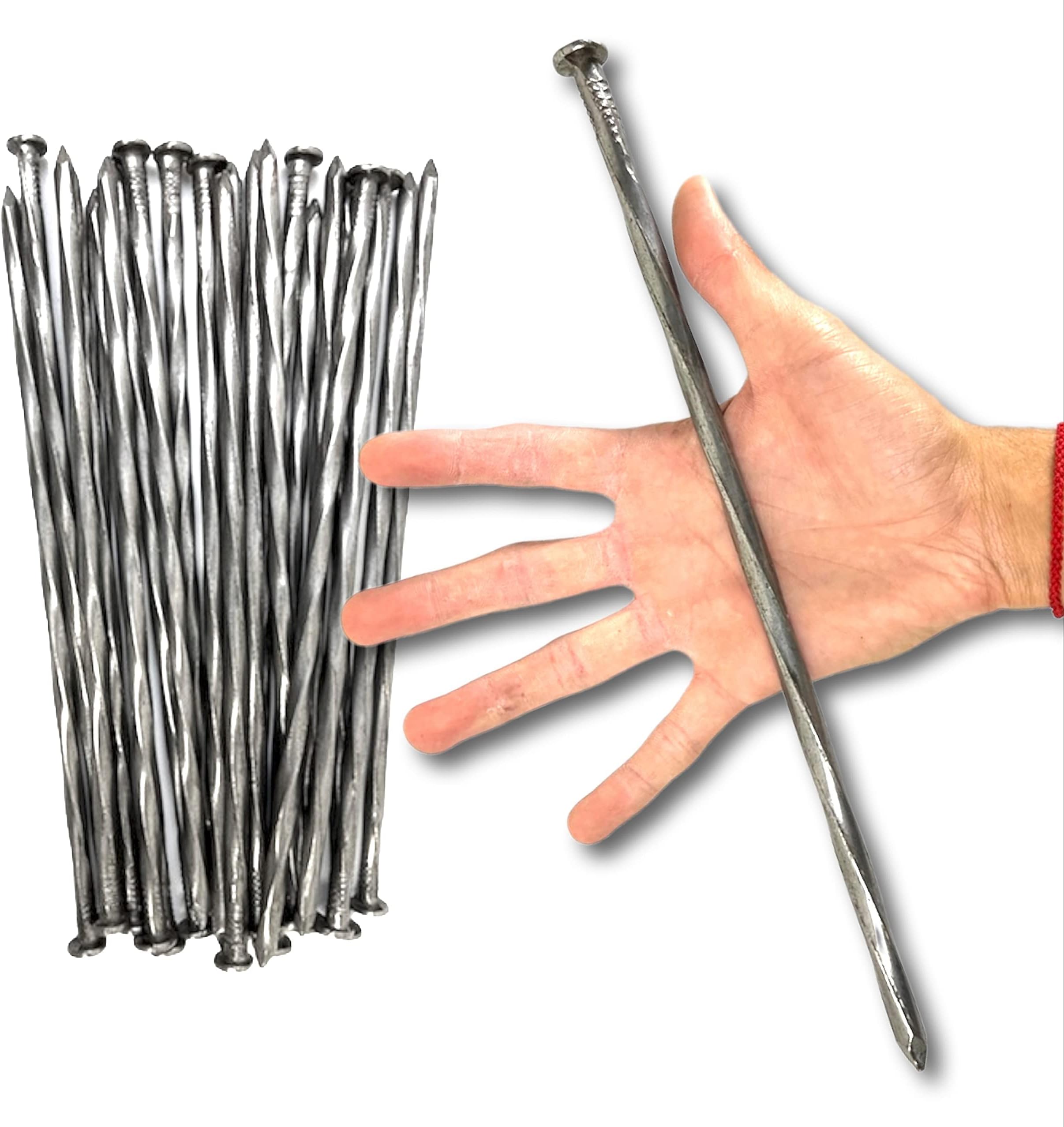 Amazon.com : 10-Pack Round Metal Landscape & Paver Edging Anchoring ...