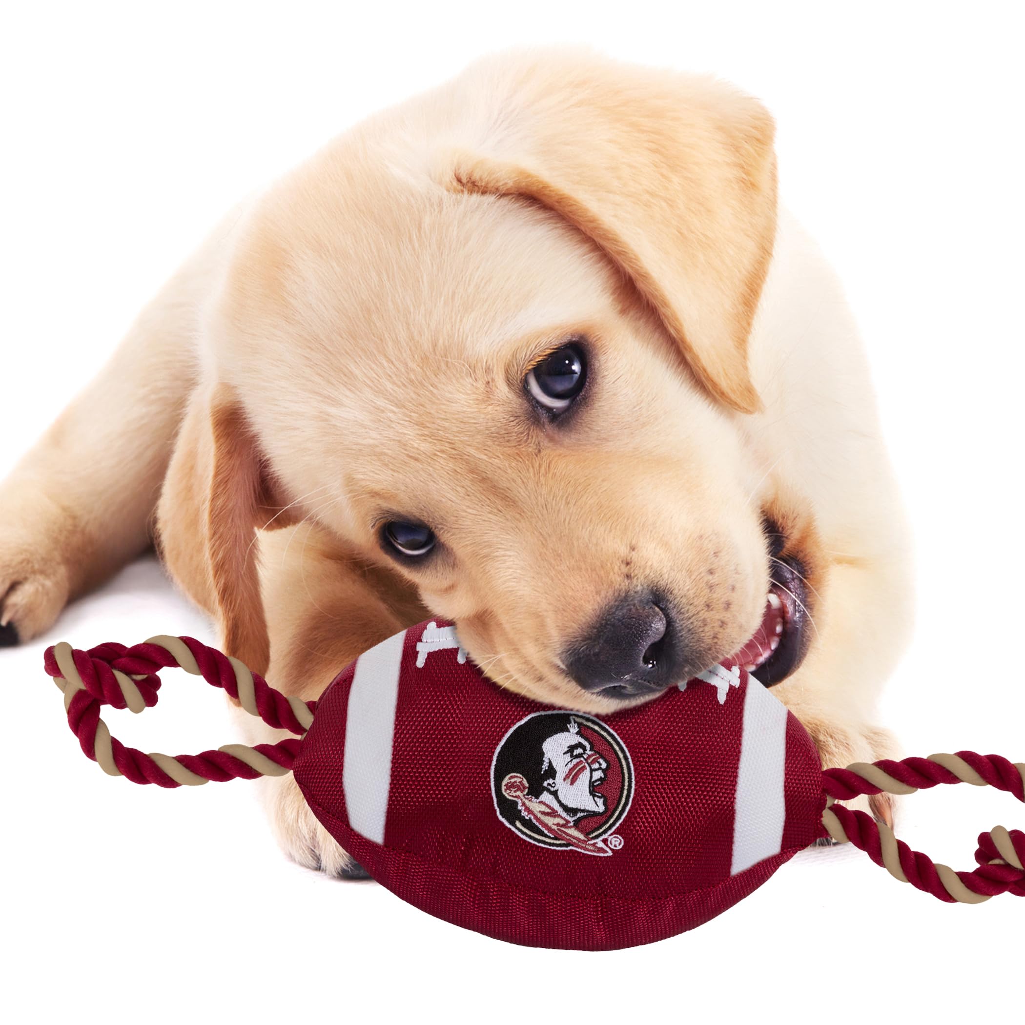 Florida State Dog