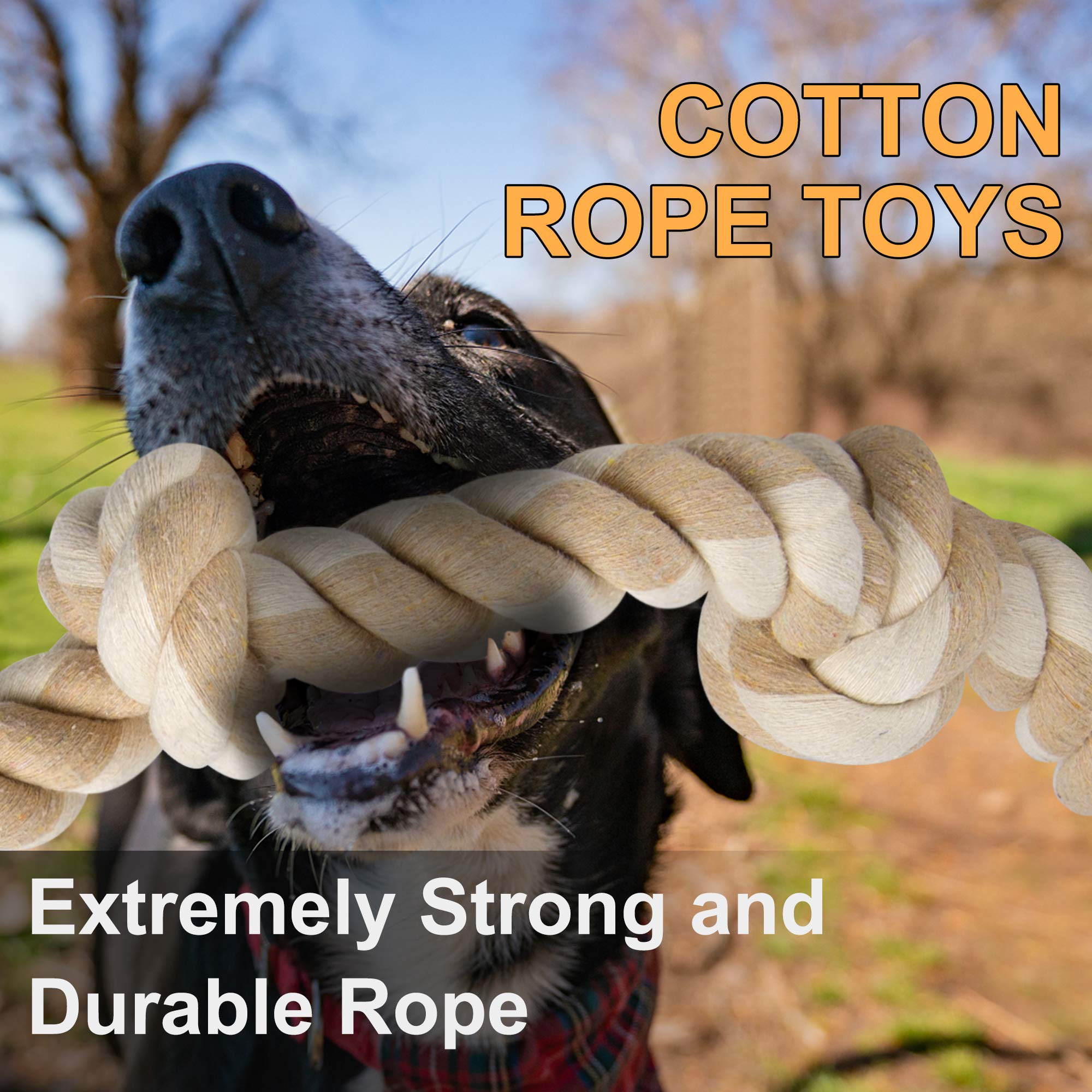 Most Durable Dog Rope Toy | atelier-yuwa.ciao.jp