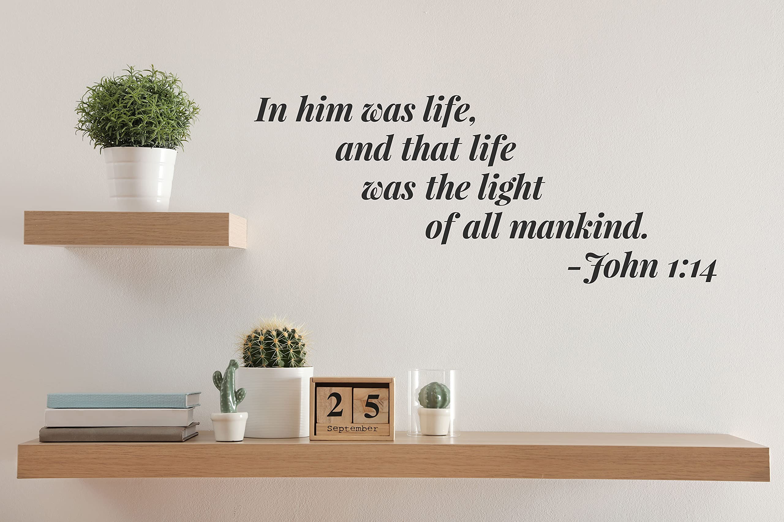 Life Adamant Quotes