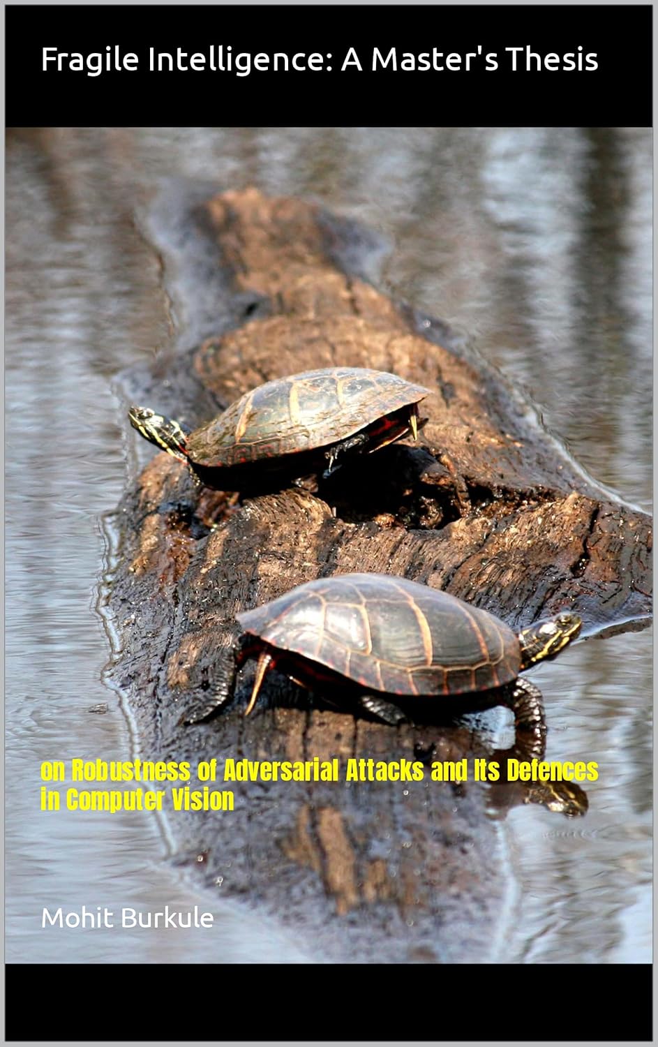 Fragile Intelligence: A Master's Thesis: on Robustness of Adversarial ...