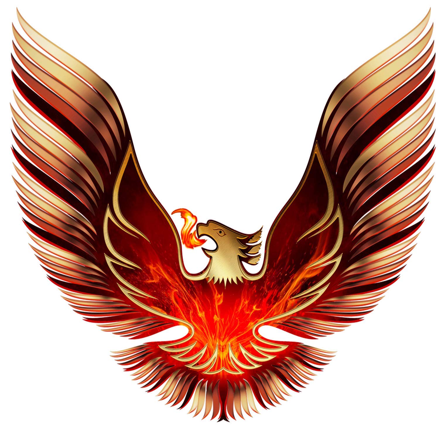 'Bronze Fury Red Firebird' Laminated Car Hood Wrap Vinyl Decal: Buy ...