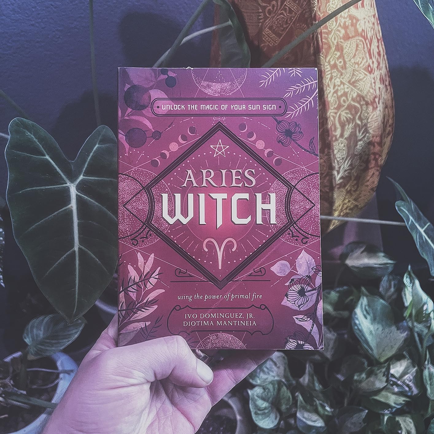 Aries Witch: Unlock the Magic of Your Sun Sign (The Witch's Sun Sign ...