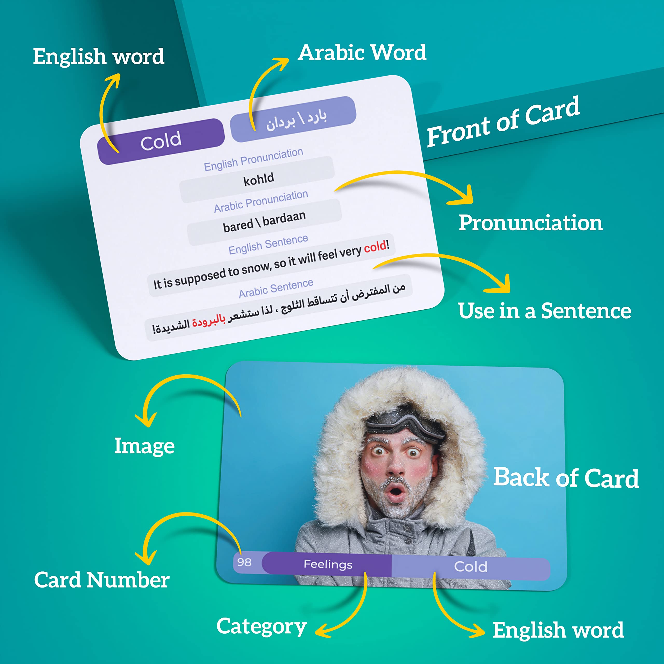 Snapklik.com : Briston Arabic Vocabulary 300 Flash Cards - Beginner Vocab