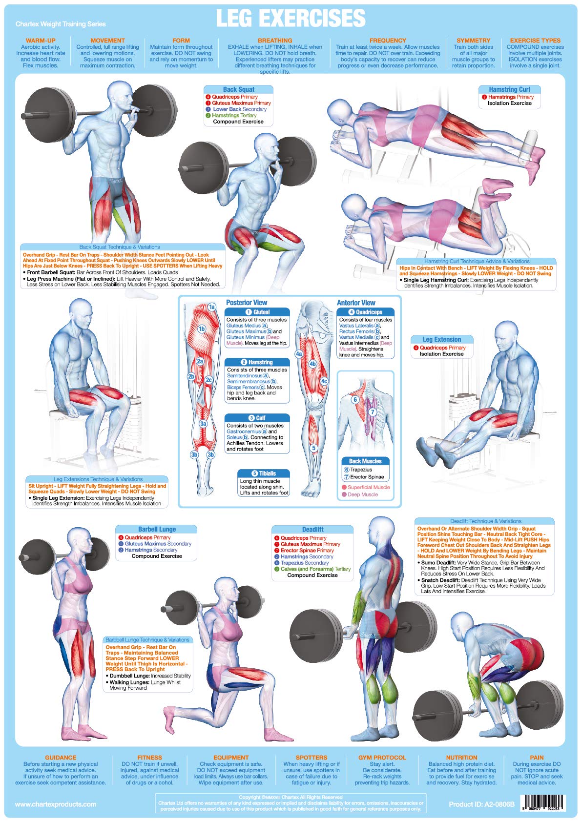 Weight Training Exercise Chart Pdf 2 Week Strength Training Program