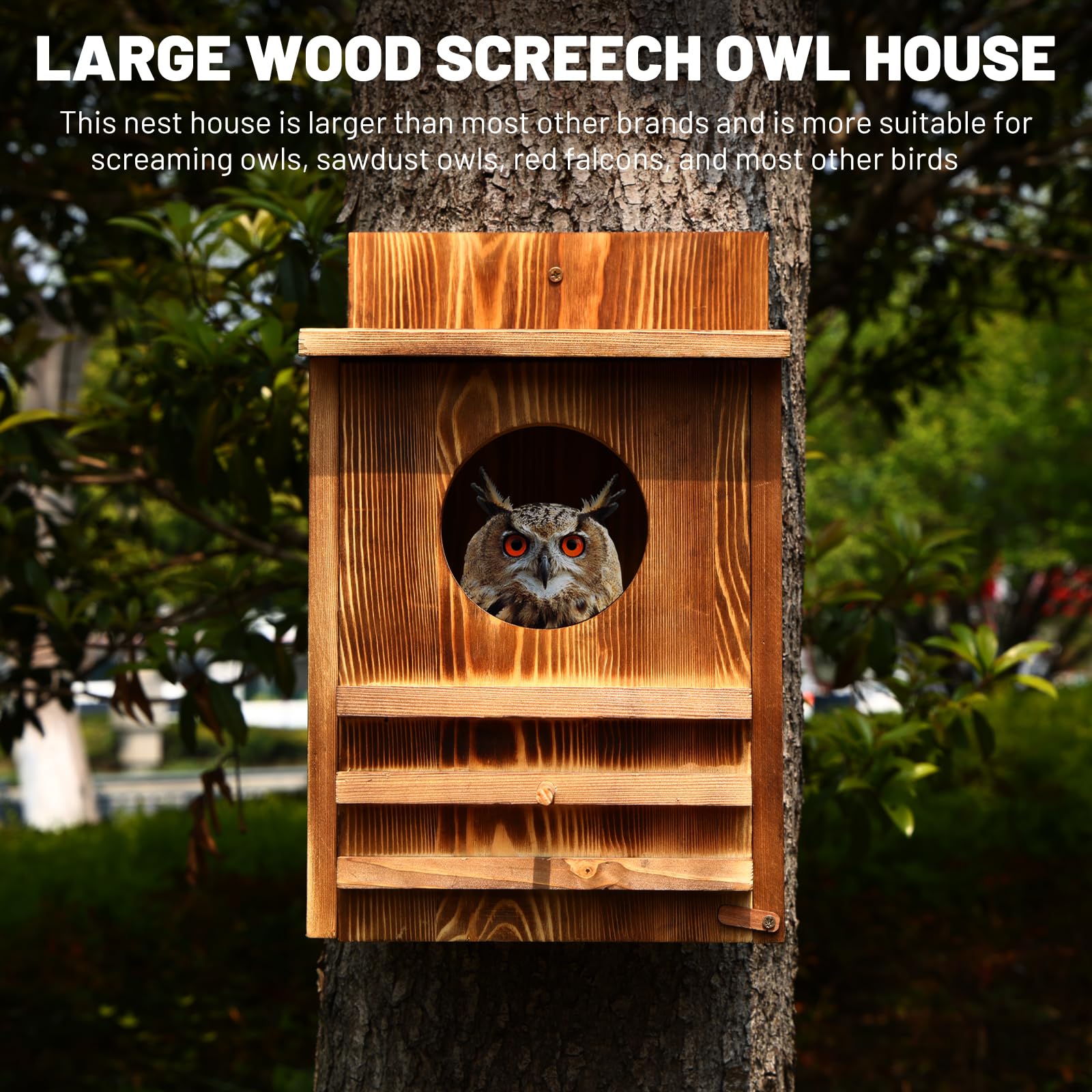 Snapklik.com : SELENAIRE Premium Natural Pine Wood Owl House Songhorn ...