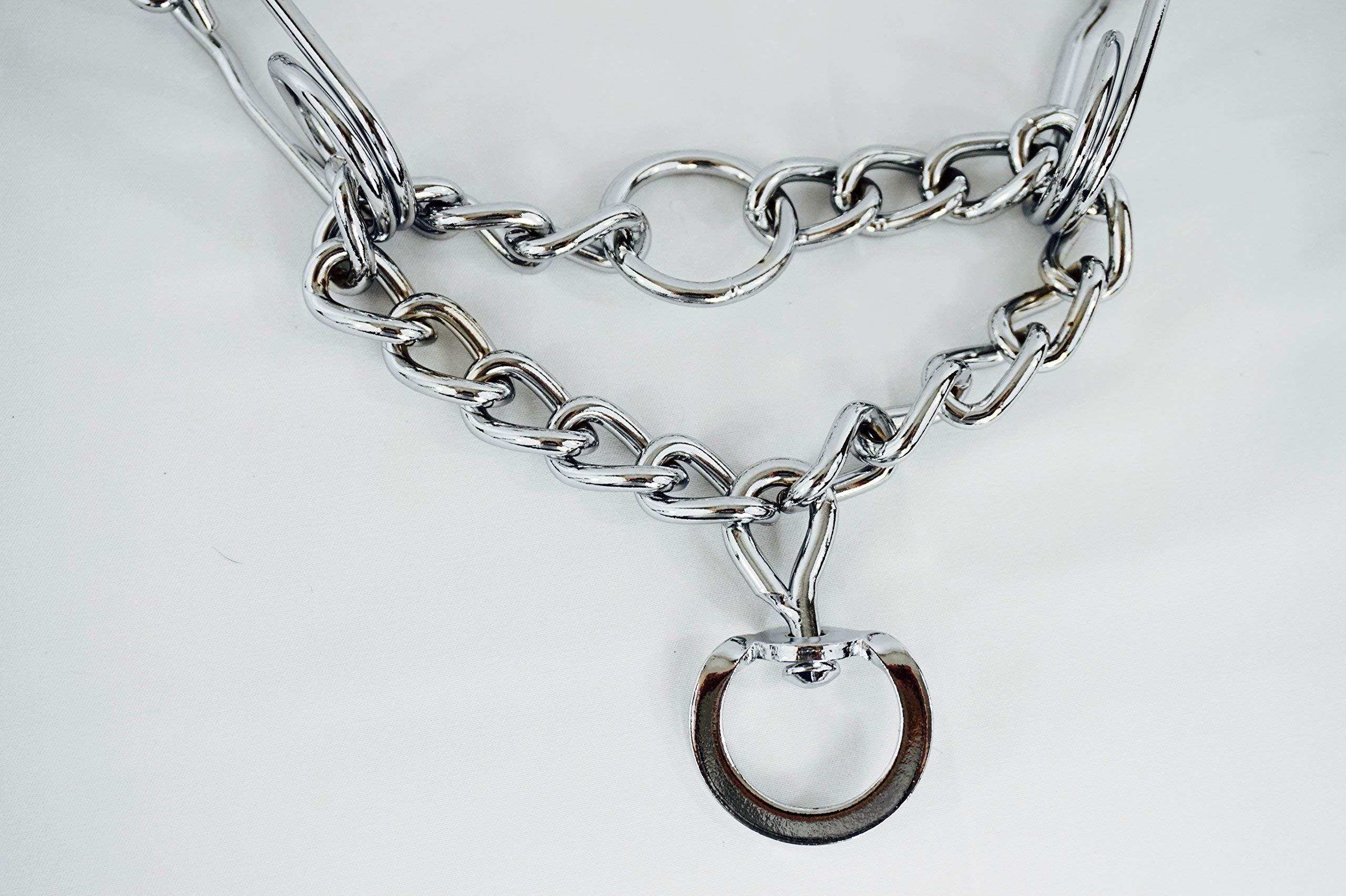 by Talents10 - Dog Training Prong Collar (Medium), Metal Collar for ...