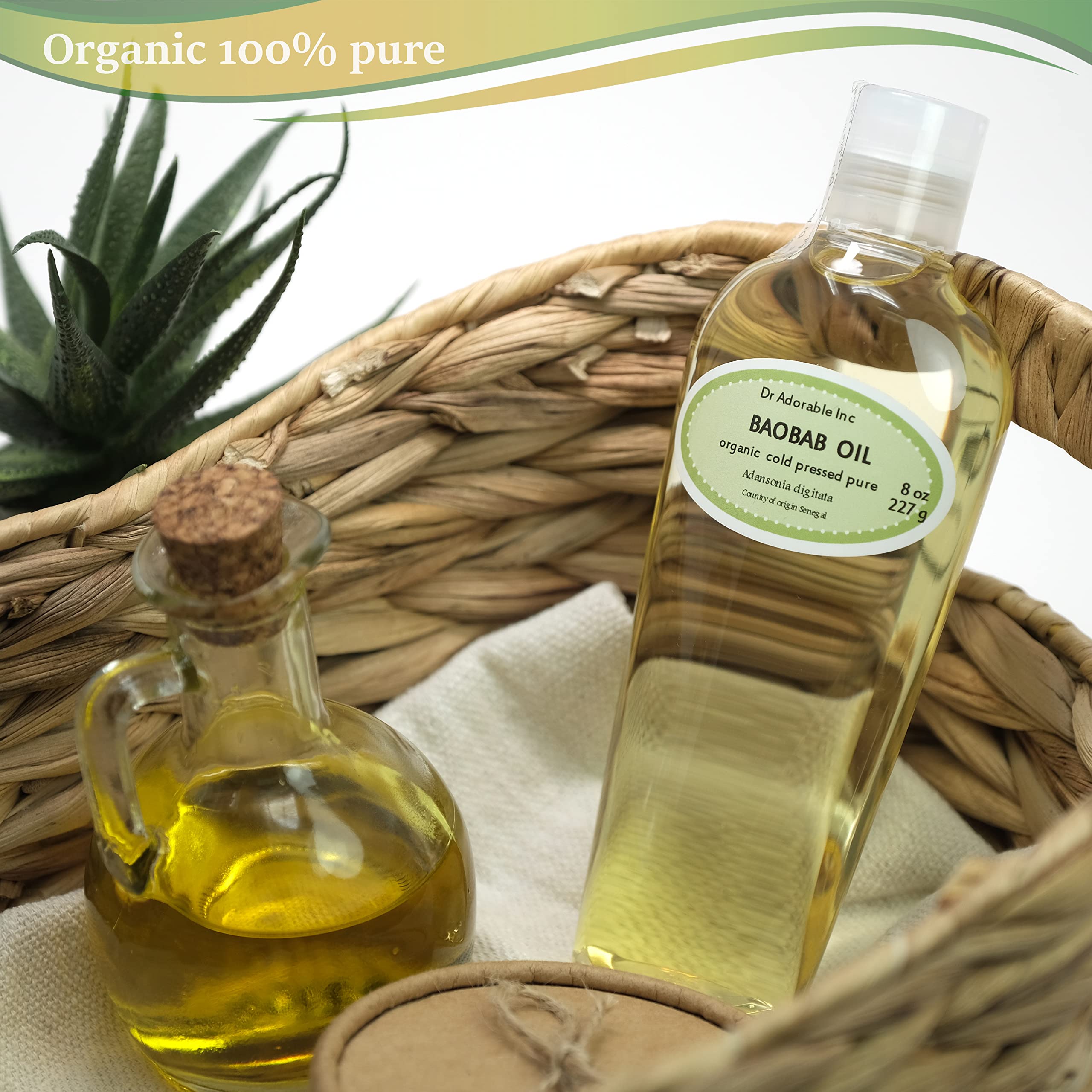 Snapklik.com : 8 Oz - Baobab Oil - 100% Pure Natural Cold Pressed Organic