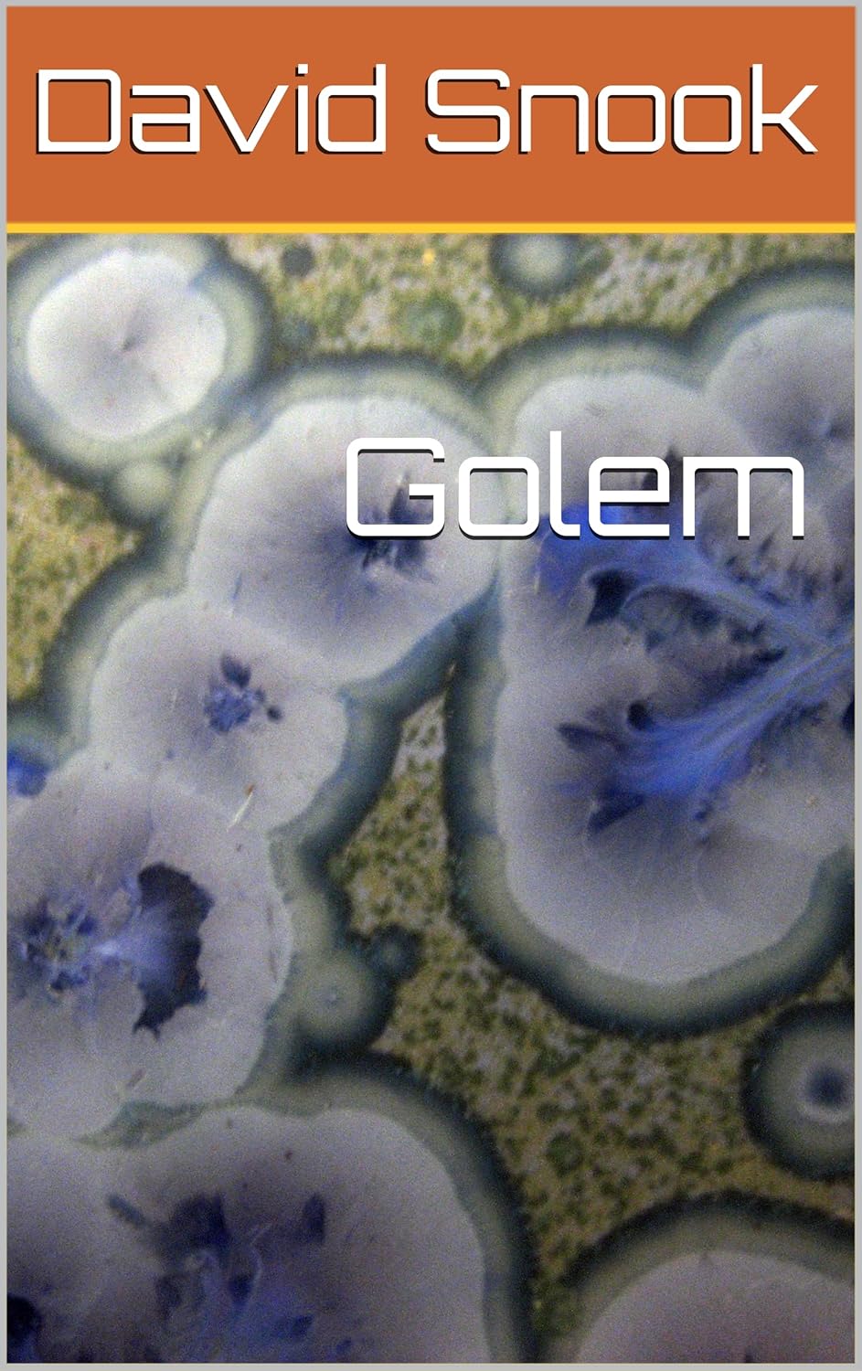 Golem - Kindle edition by Snook, David. Literature & Fiction Kindle eBooks @ Amazon.com.