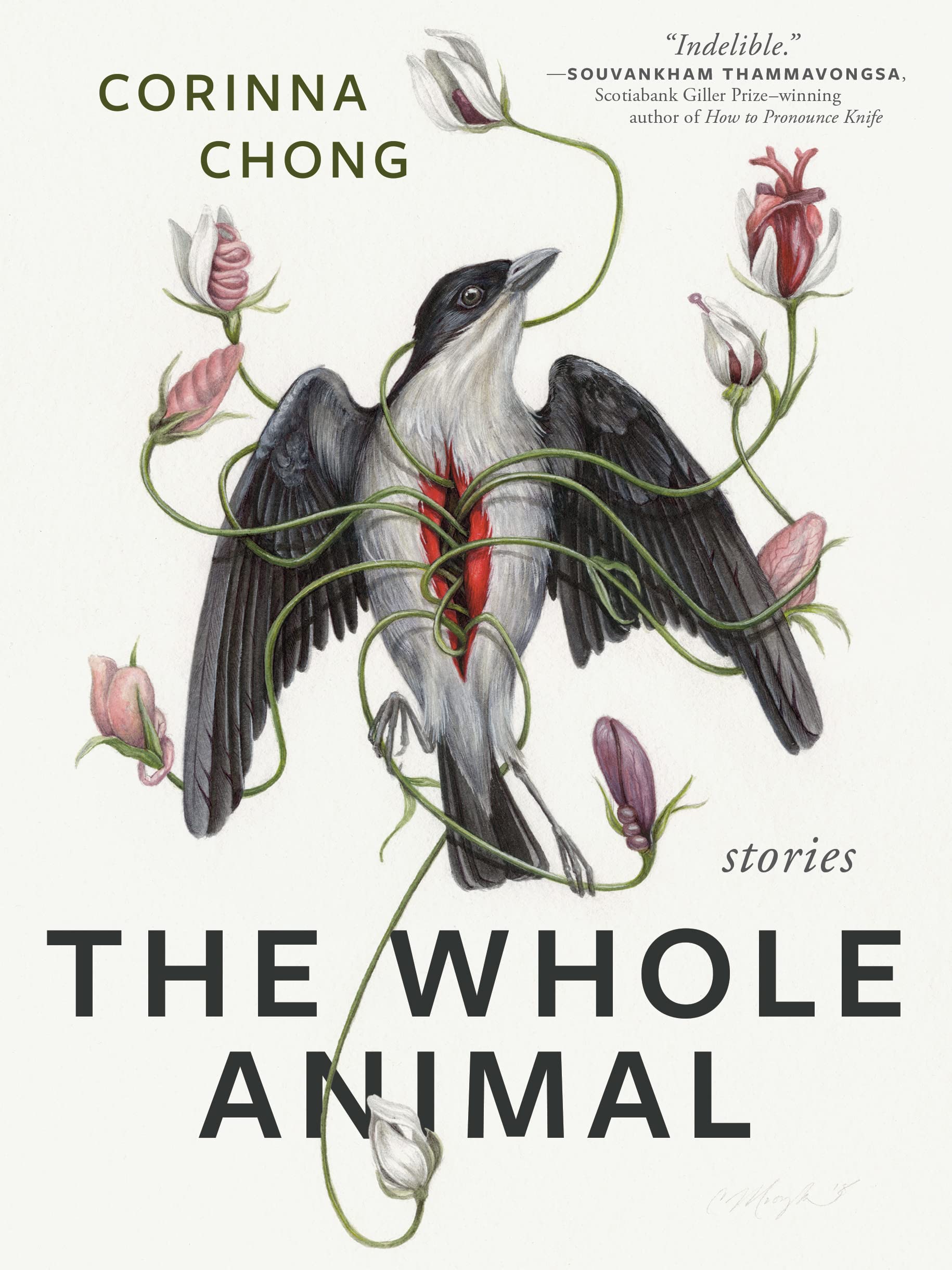 The Whole Animal: Chong, Corinna: 9781551529158: Amazon.com: Books