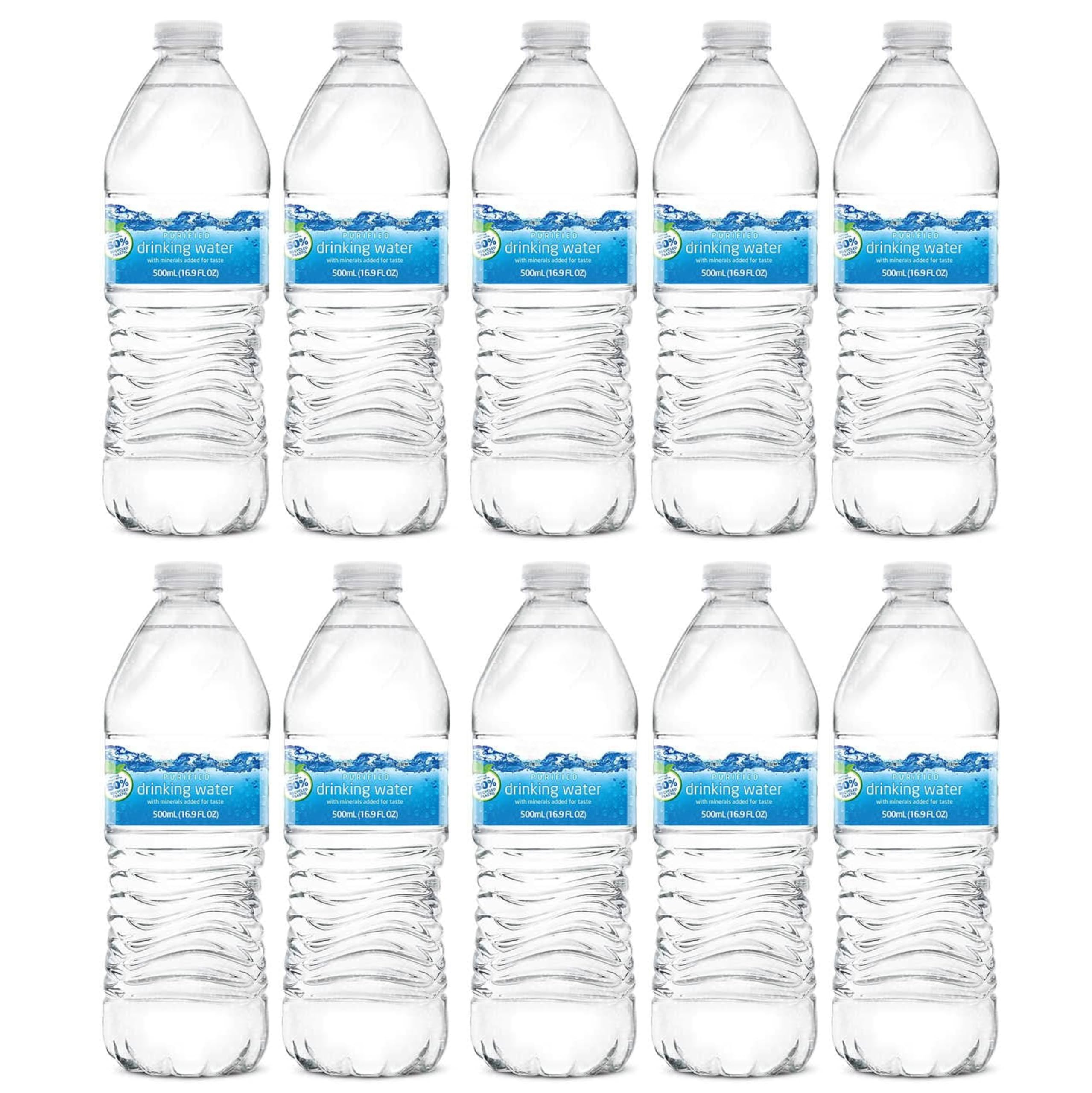 Buy Blue RibbonPurified Drinking Water 16.9 Fl Oz (Pack of 10, Total of ...